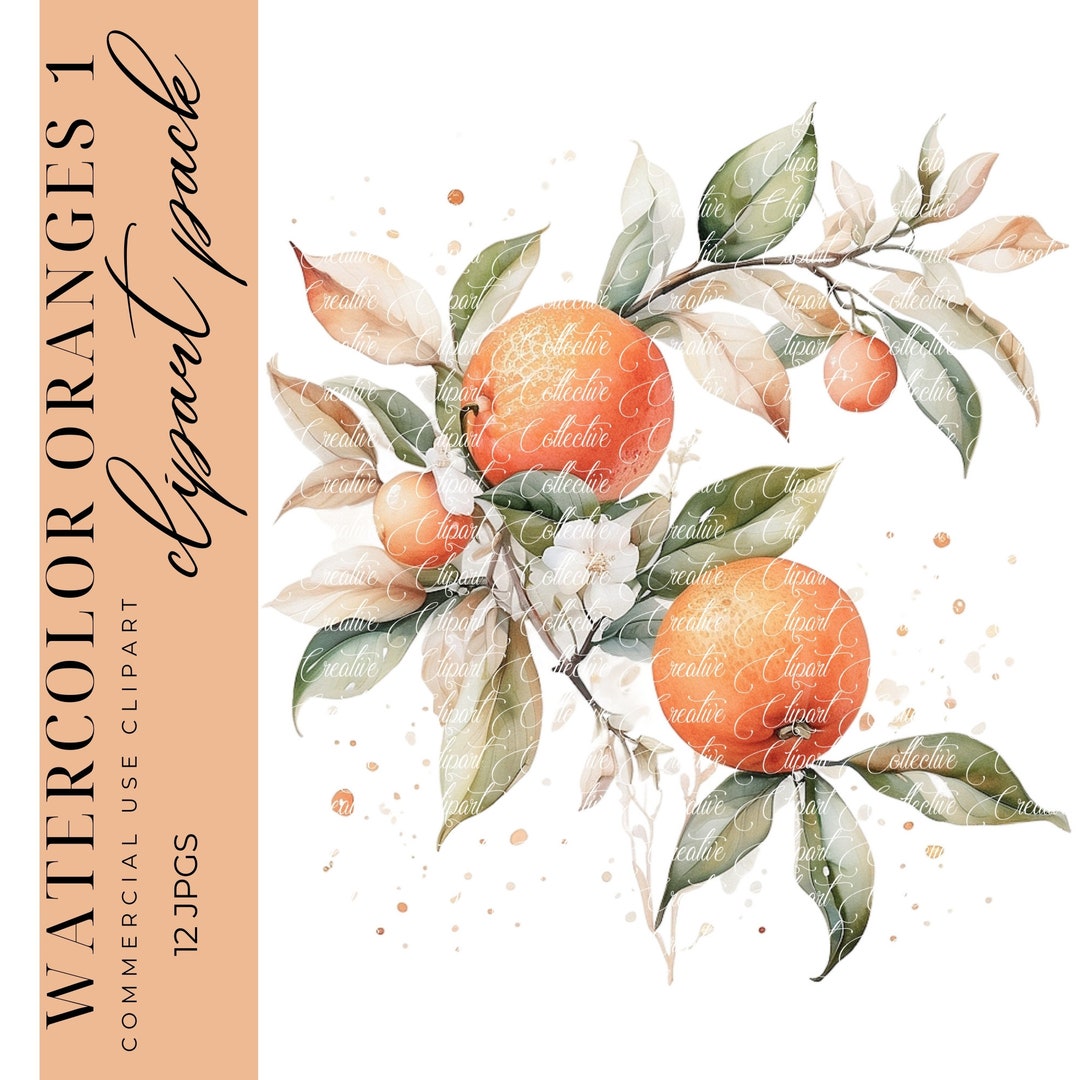 12 Watercolor Orange Clipart, Citrus Orange Clipart, Printable ...