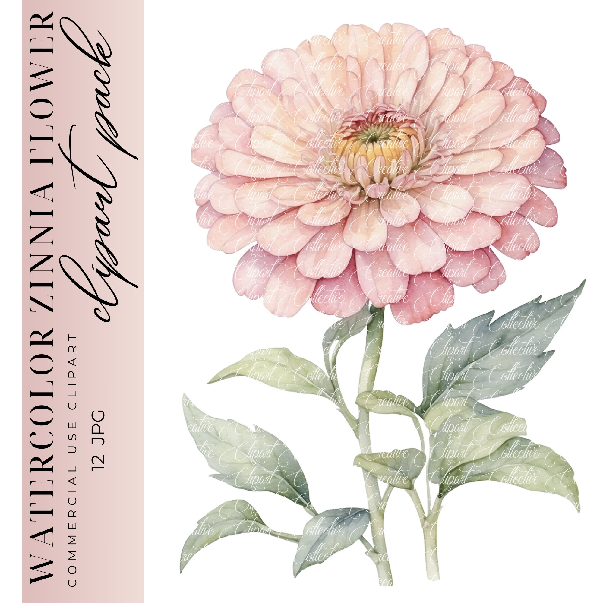 12 Watercolor Zinnia Clipart, Flower Clipart, Floral Clipart, Spring ...