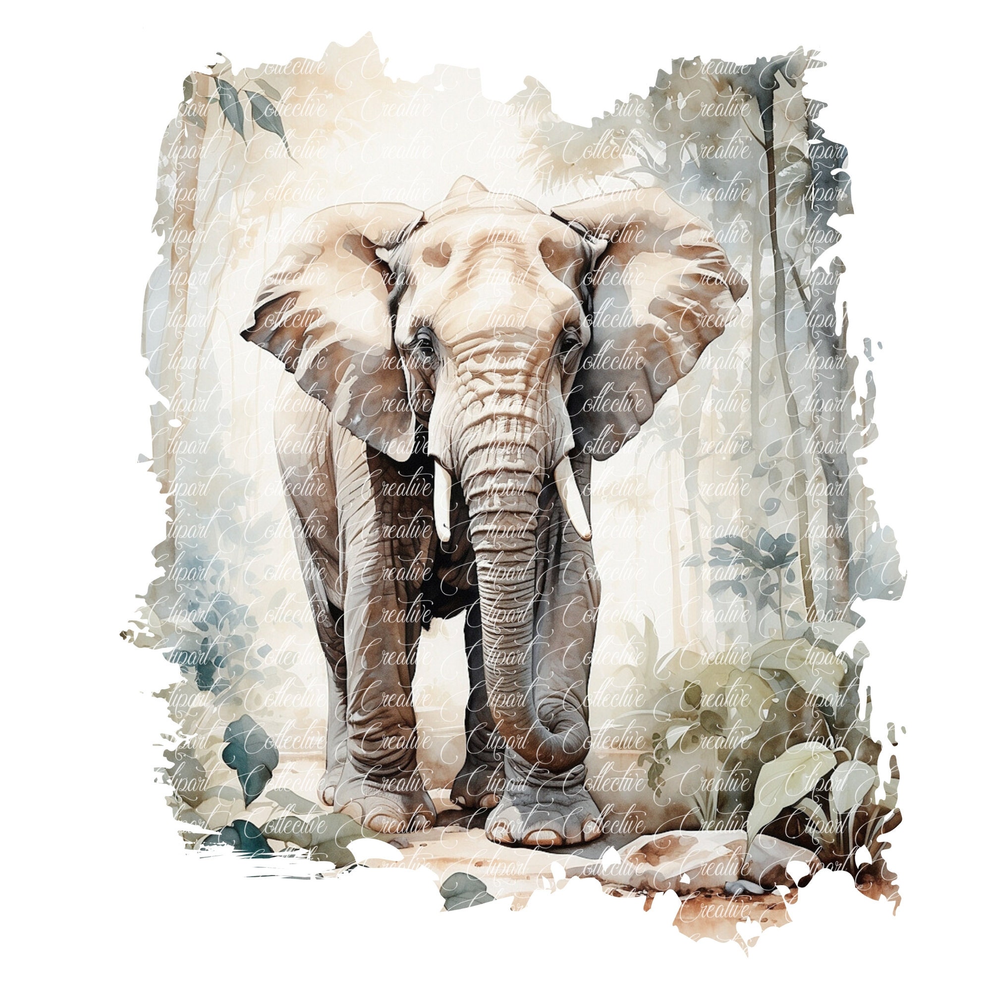 10 Watercolor Elephant, Elephant Clipart, Zoo Clipart, Jungle Clipart ...