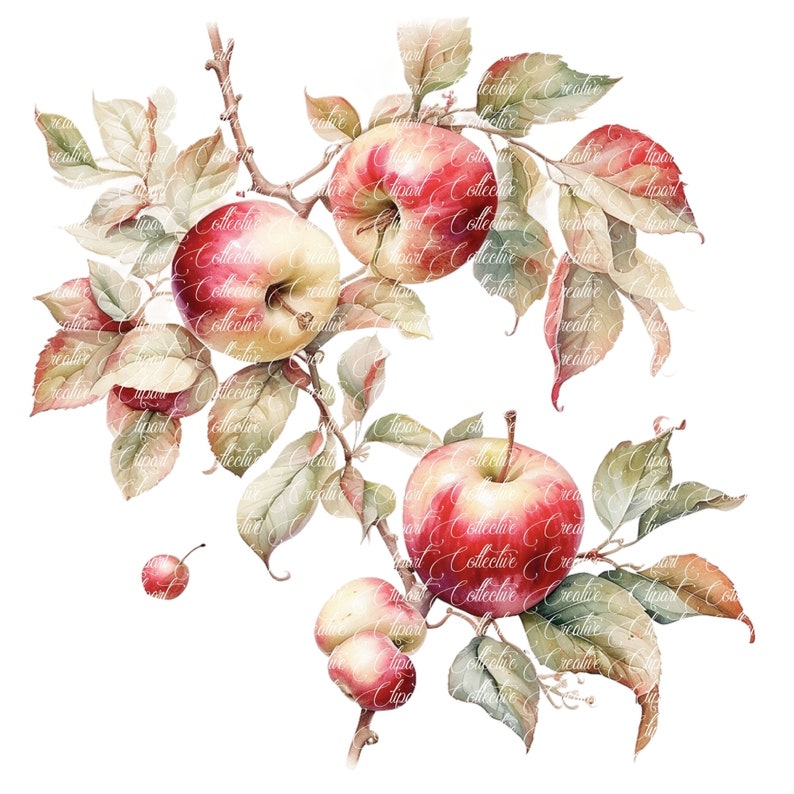 12 Crisp Red Apple Clipart, Watercolor Apple Clipart, Junk Journal ...