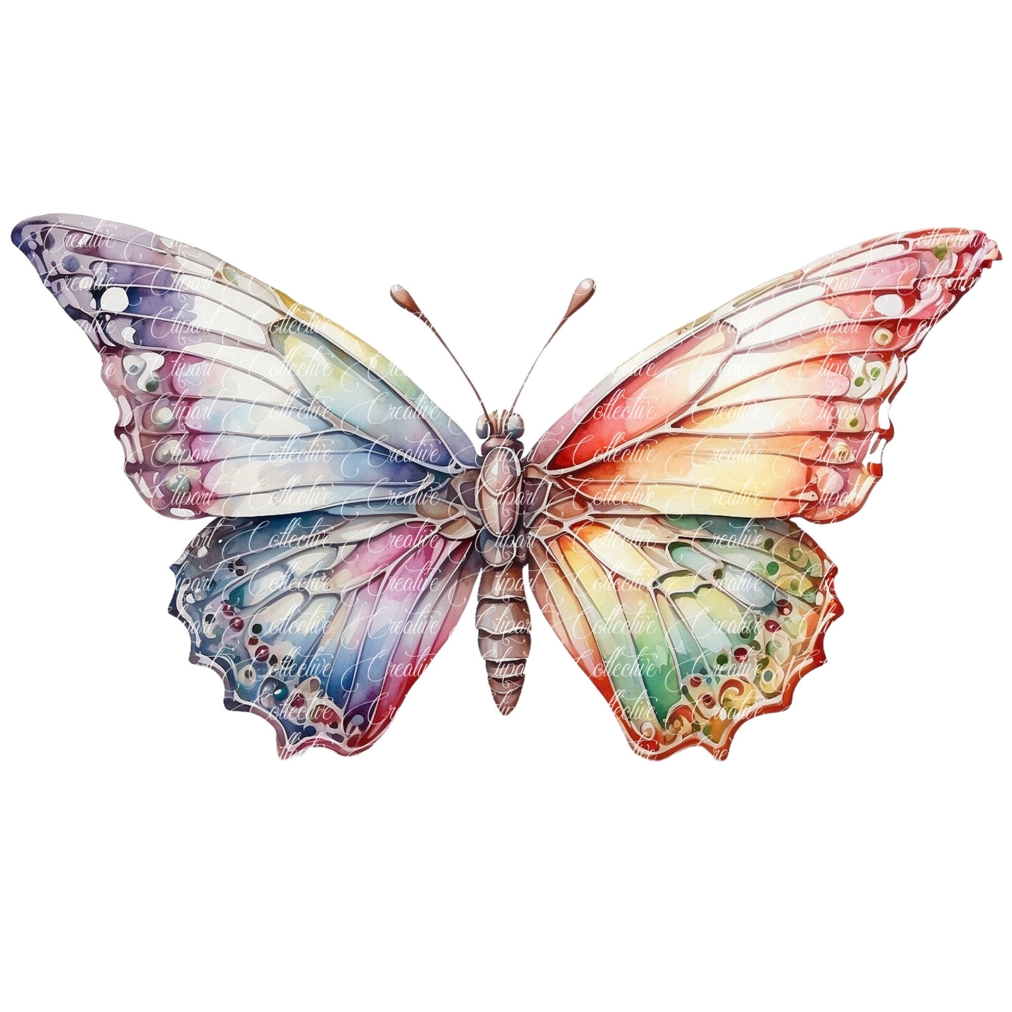 12 Butterfly Clipart, Rainbow Clipart, Rainbow Butterfly Clipart, Clip ...