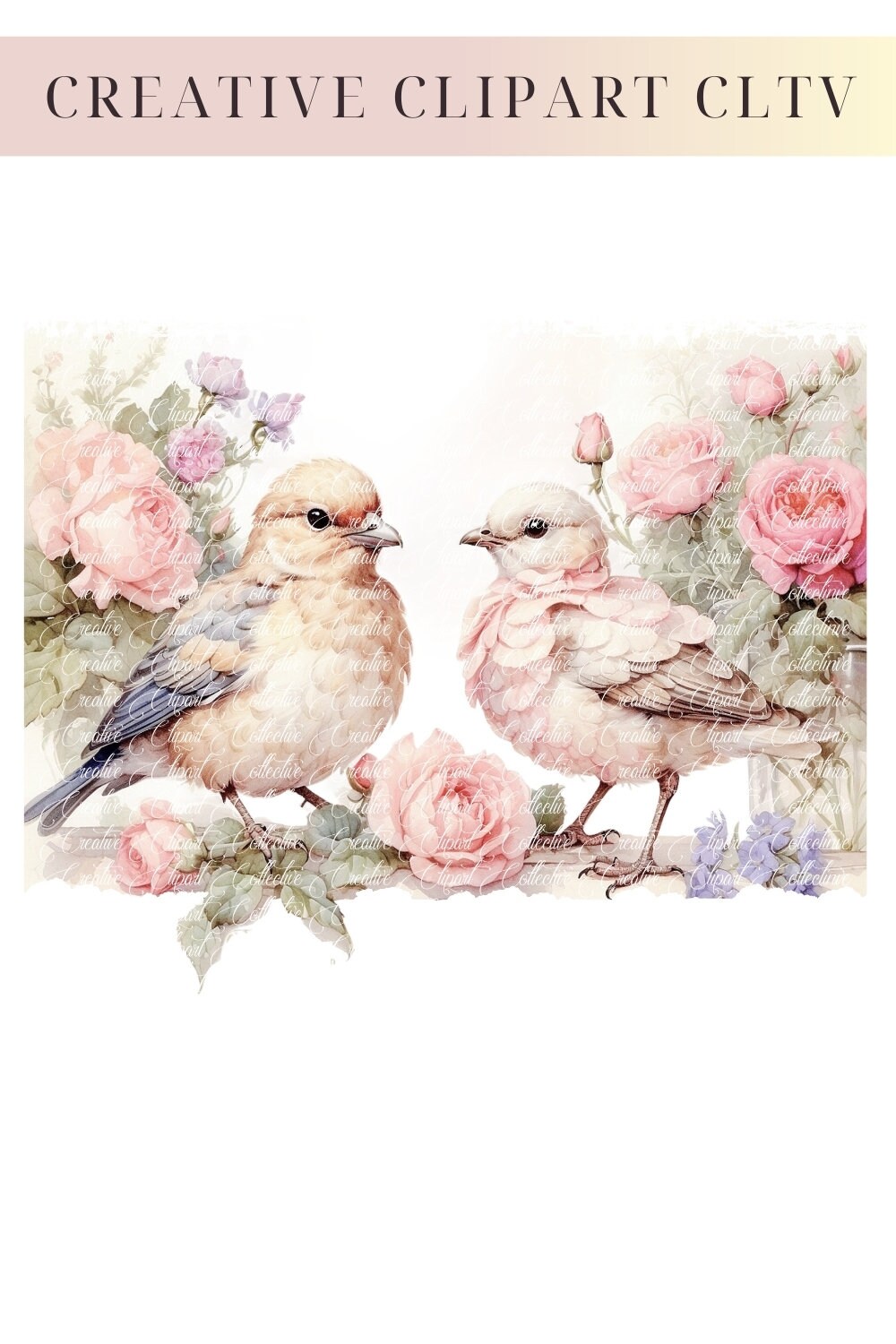 12 Love Birds Clipart, Watercolor Birds Clipart, Junk Journal ...