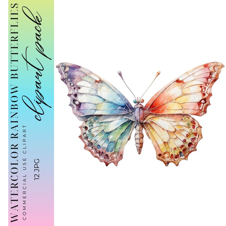 12 Butterfly Clipart, Rainbow Clipart, Rainbow Butterfly Clipart, Clip ...