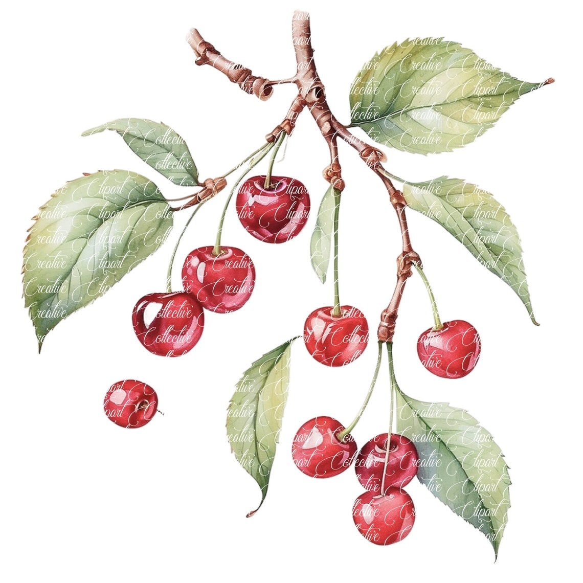 12 Cherry Clipart, Watercolor Cherry Clipart, Fruit Clipart, Printable ...