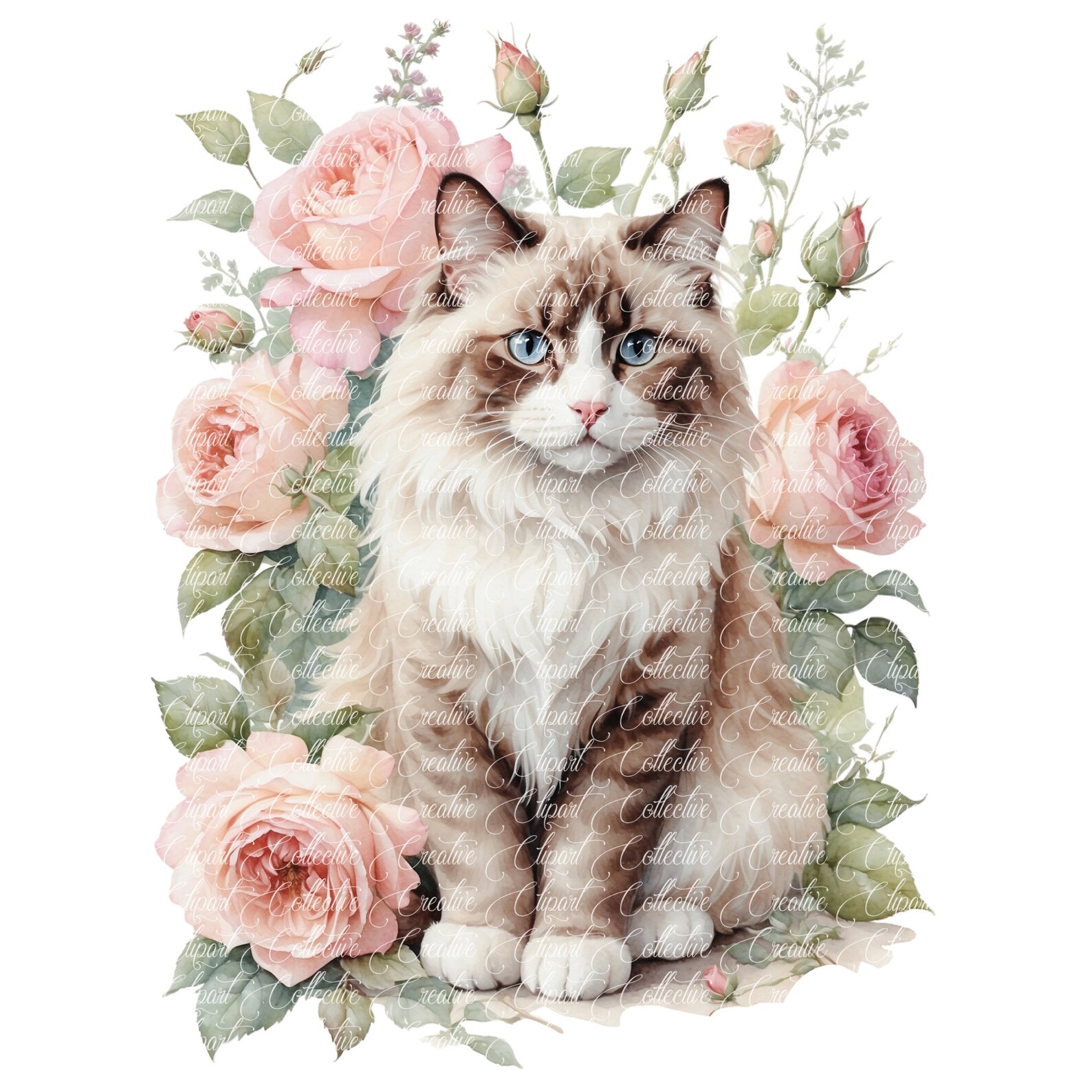 12 Ragdoll Cat Clipart, Romantic Cottage Cat Clipart, Watercolor Cat ...