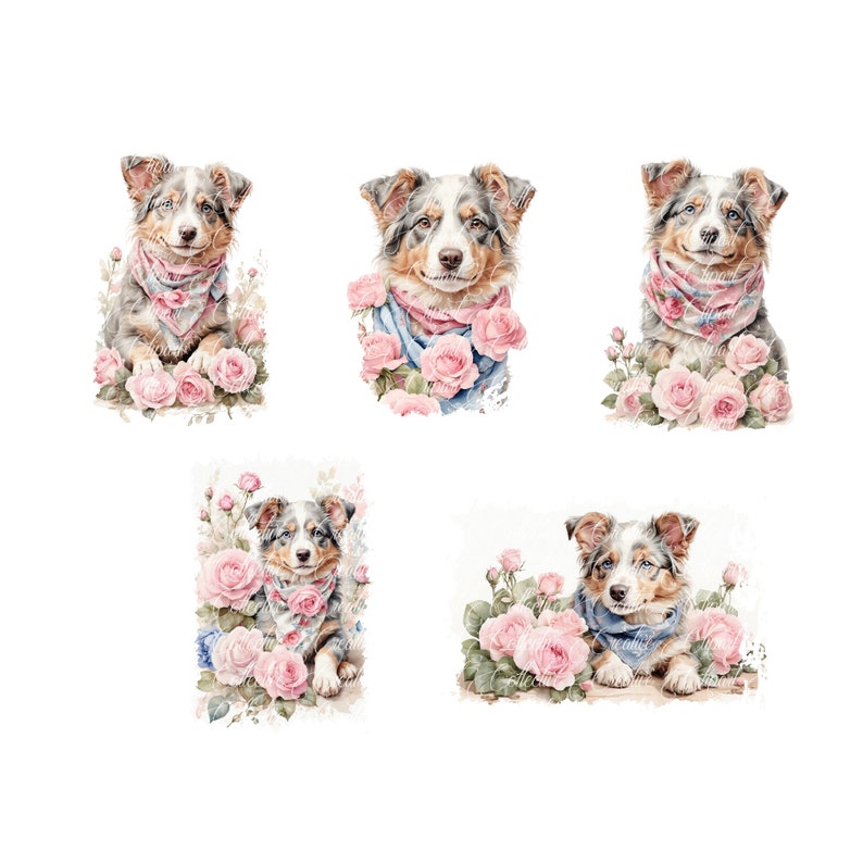 14 Dog Clipart, Australian Shepard Clipart, Watercolor Shabby Chic ...