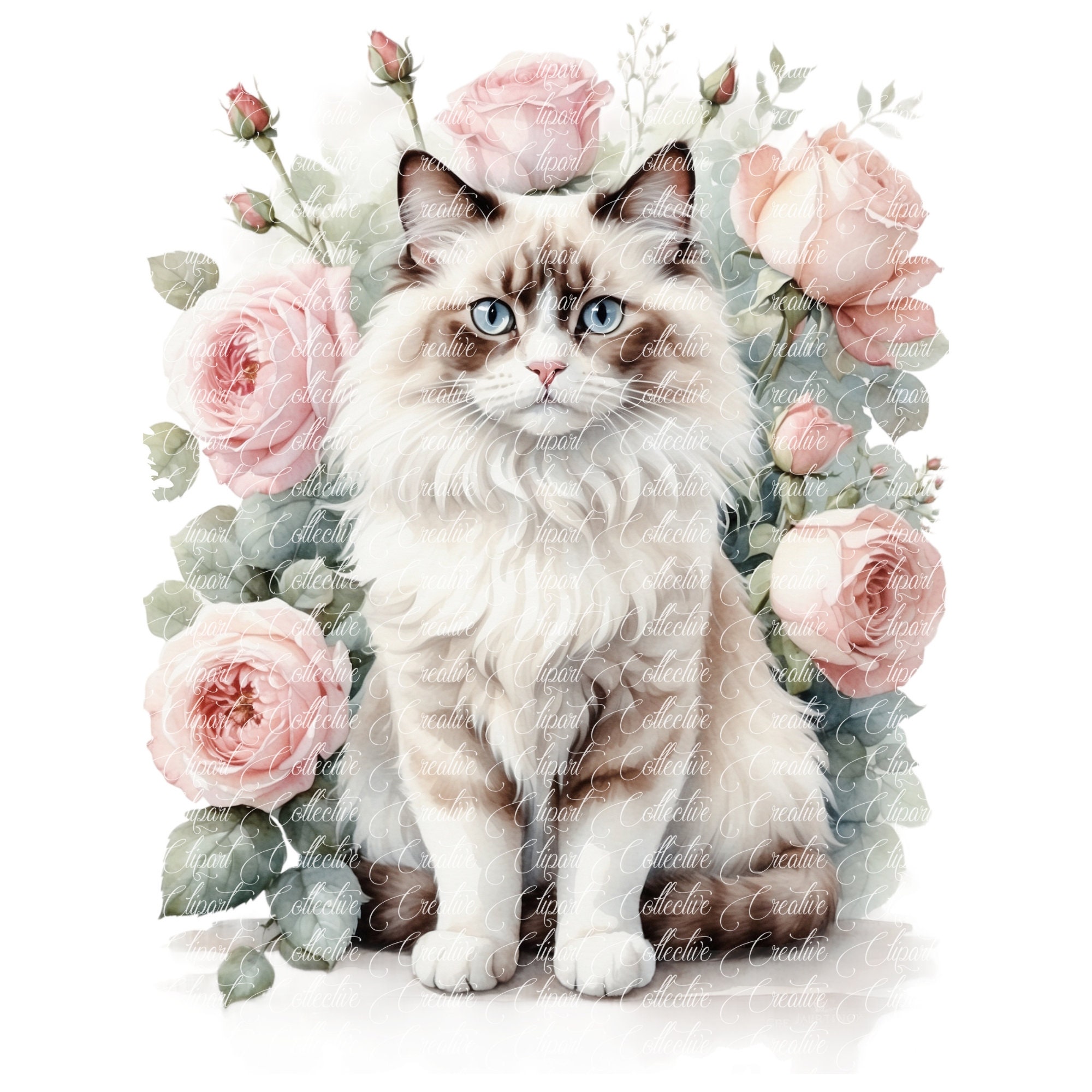 12 Ragdoll Cat Clipart, Romantic Cottage Cat Clipart, Watercolor Cat ...