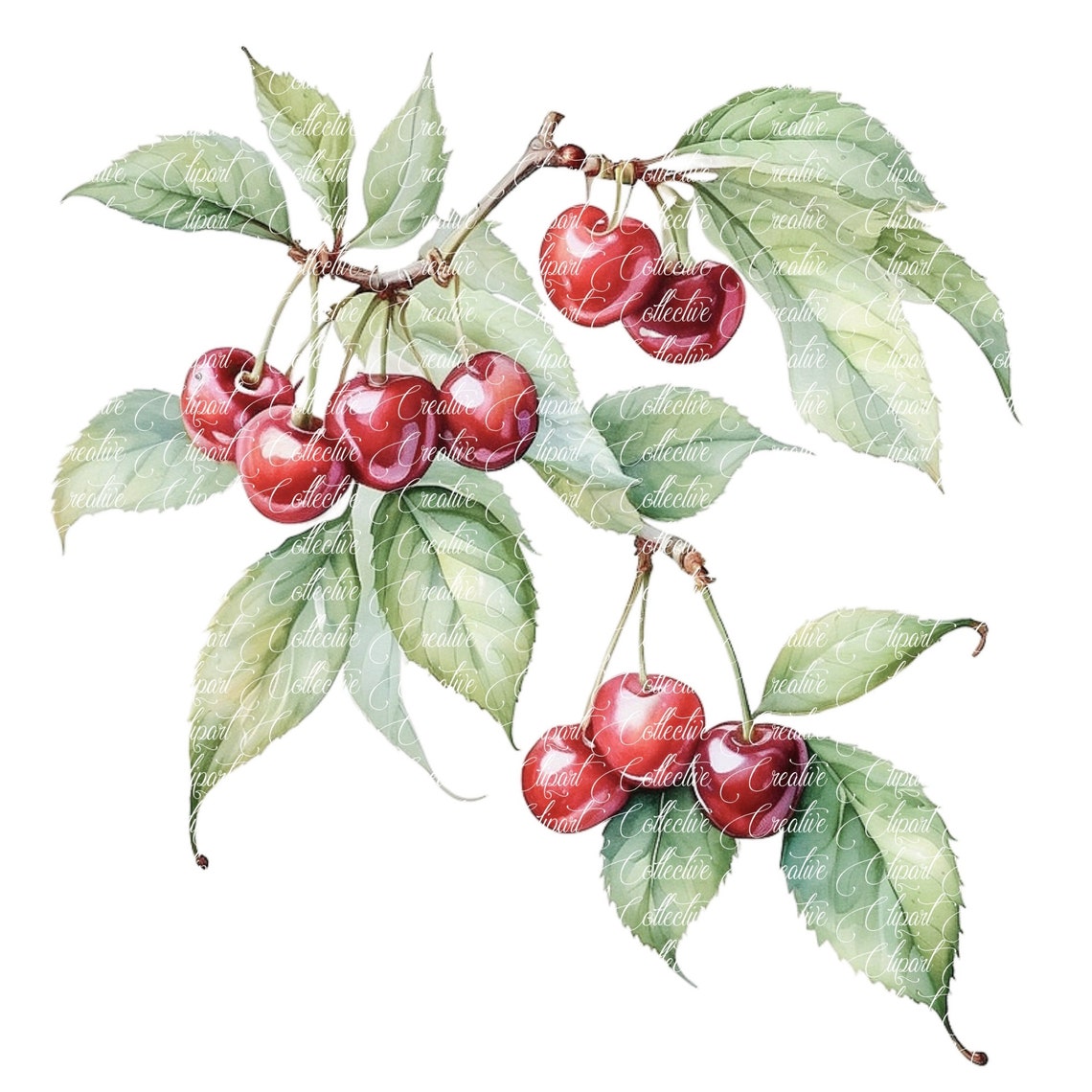 12 Cherry Clipart, Watercolor Cherry Clipart, Fruit Clipart, Printable ...