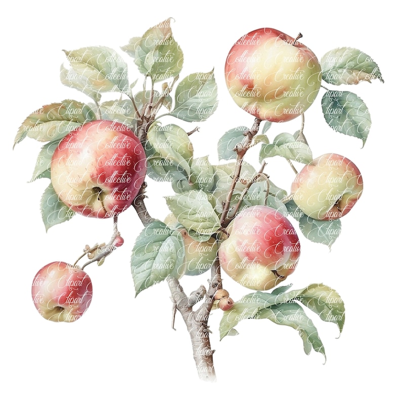 12 Green Red Apple Clipart, Apple Tree Branch Art, Junk Journal Art ...