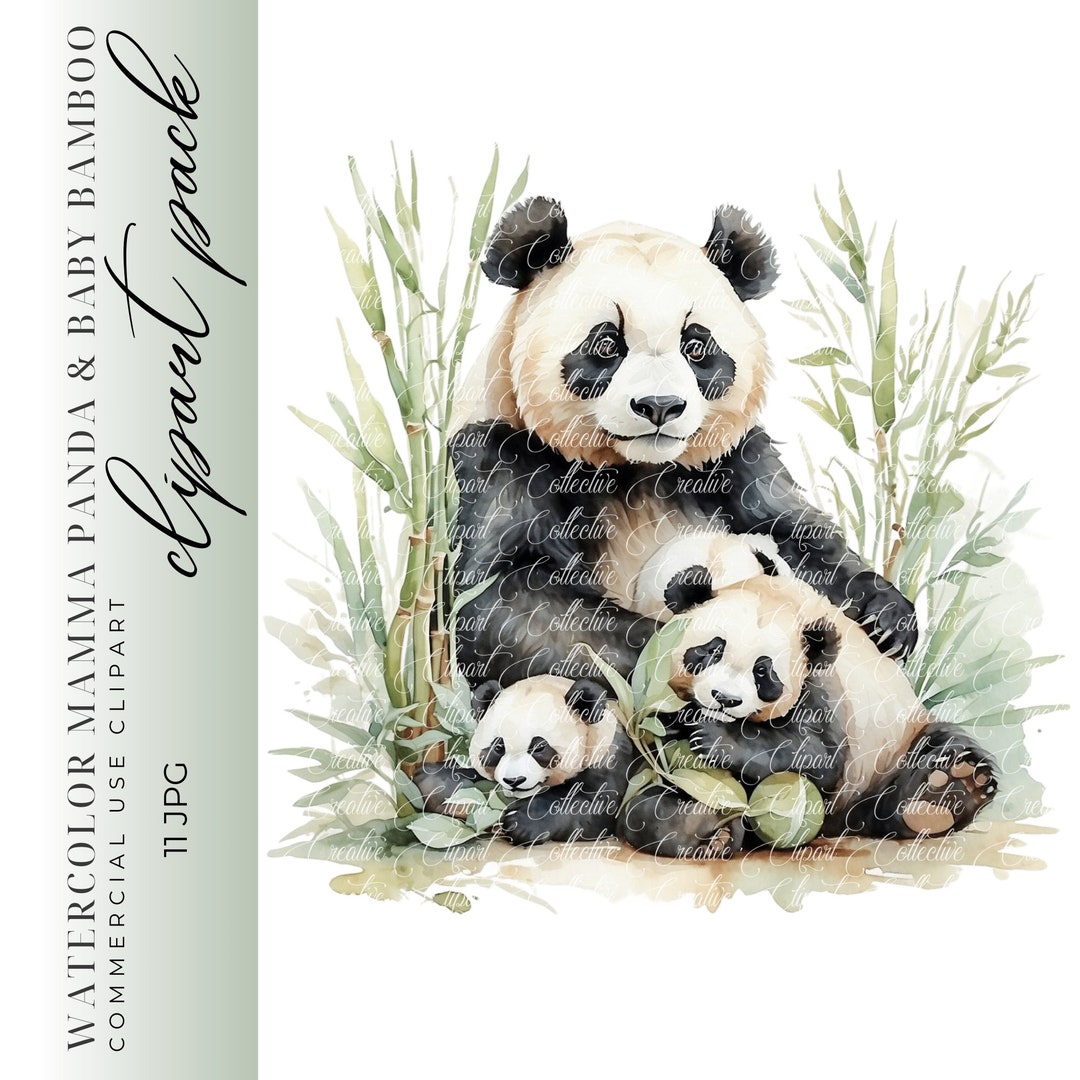 11 Panda Clipart, Baby Panda Clipart, Watercolor Clipart, Bamboo Panda ...