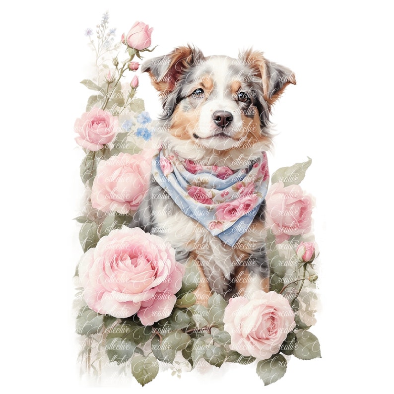 14 Dog Clipart, Australian Shepard Clipart, Watercolor Shabby Chic ...