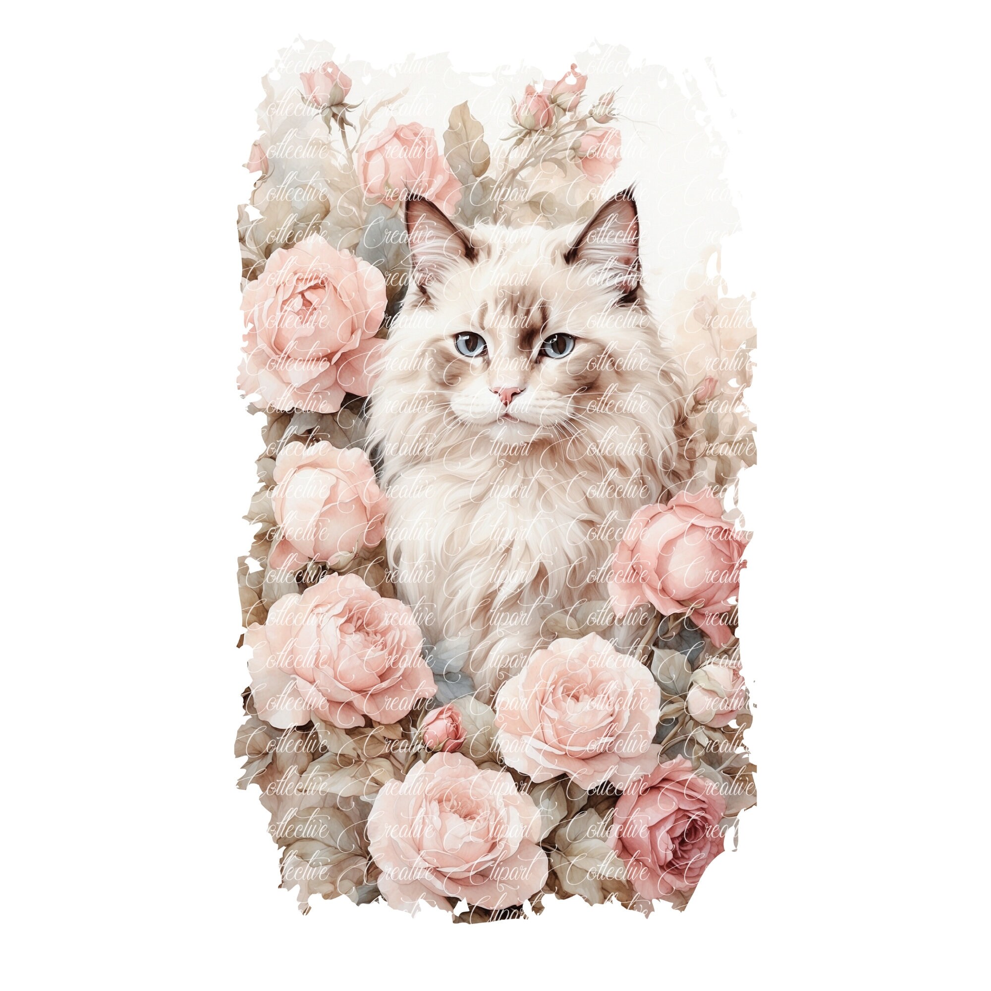 12 Ragdoll Cat Clipart, Shabby Chic Cat Clipart, Watercolor Cat Kitten ...