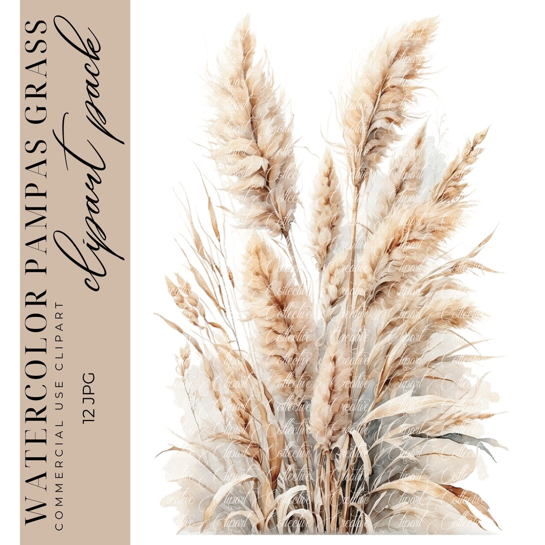 12 Watercolor Pampas Grass Clipart, Boho Clipart, Boho Wedding Clipart ...