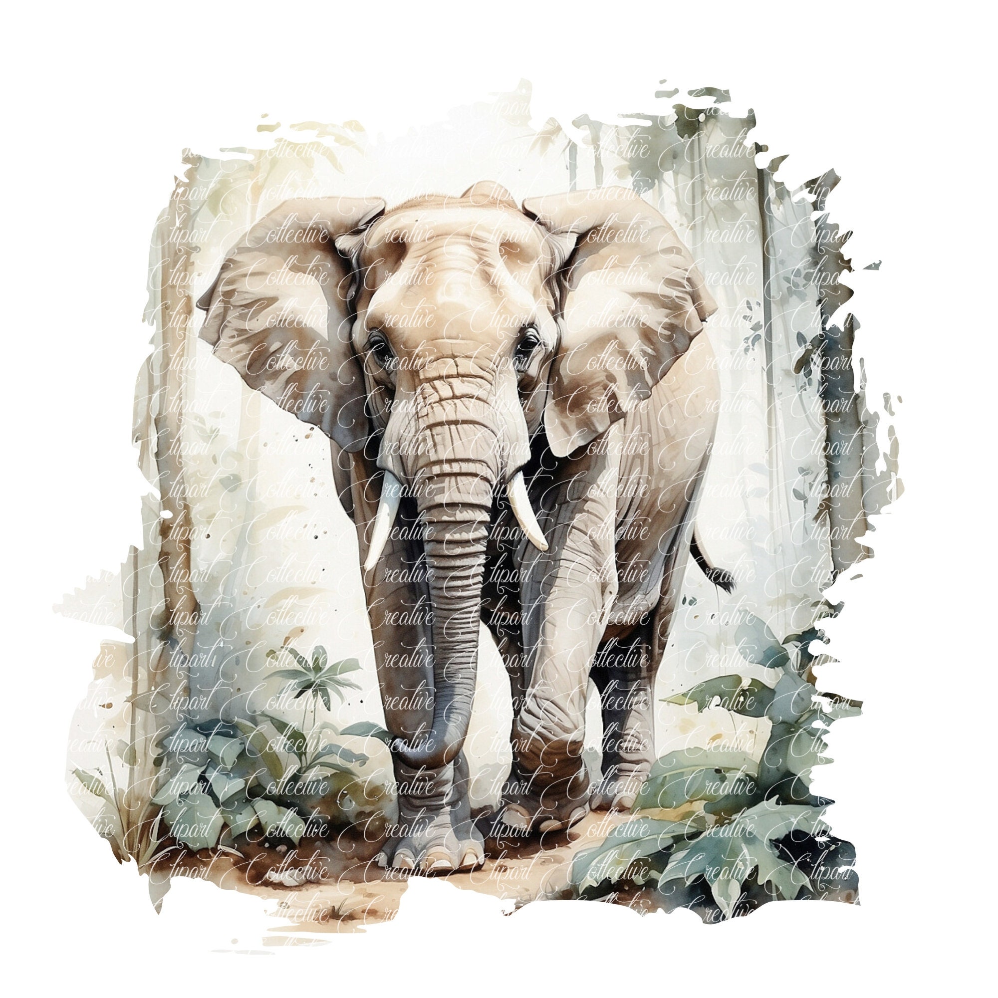 10 Watercolor Elephant, Elephant Clipart, Zoo Clipart, Jungle Clipart ...