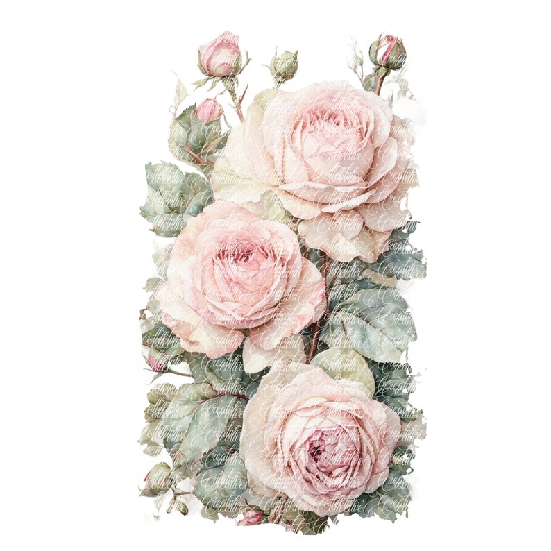 12 Rose Clipart, Watercolor Cabbage Rose Clipart, Shabby Chic Clipart ...