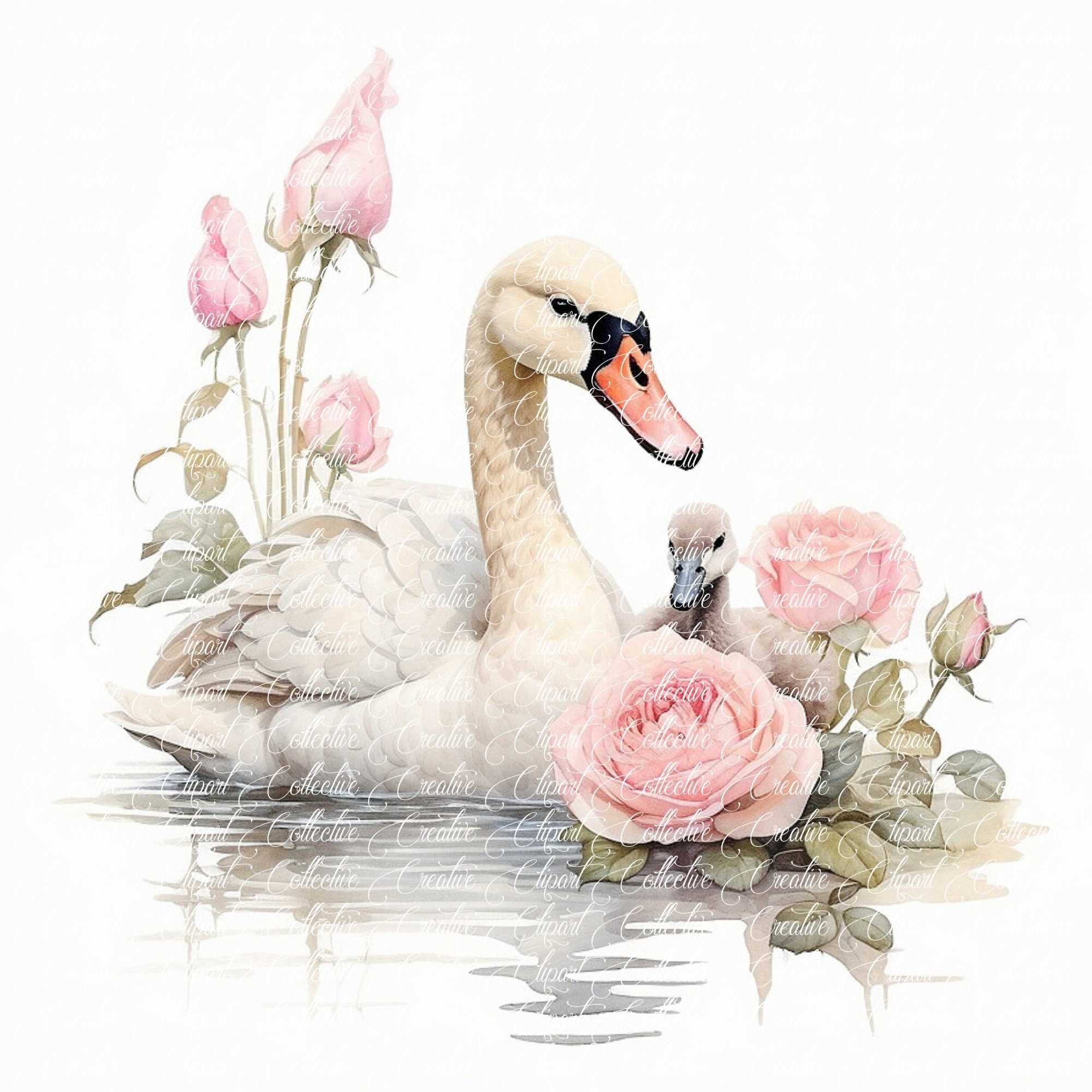 12 Swan Clipart, Mamma Swan and Baby Clipart Bundle, Printable ...