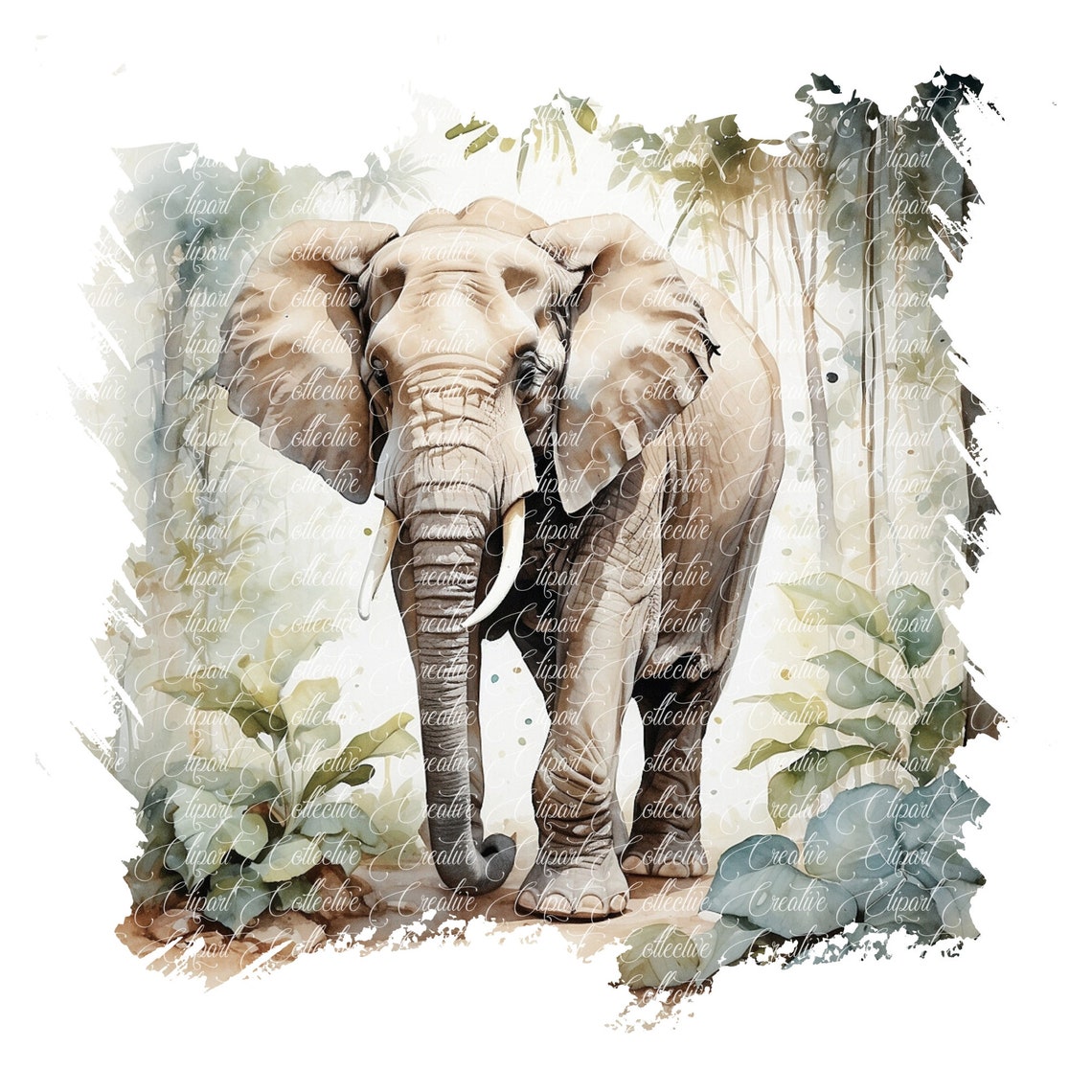 10 Watercolor Elephant, Elephant Clipart, Zoo Clipart, Jungle Clipart ...
