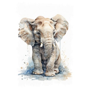 13 Watercolor Baby Elephant, Elephant Clipart, Zoo Clipart, Jungle ...