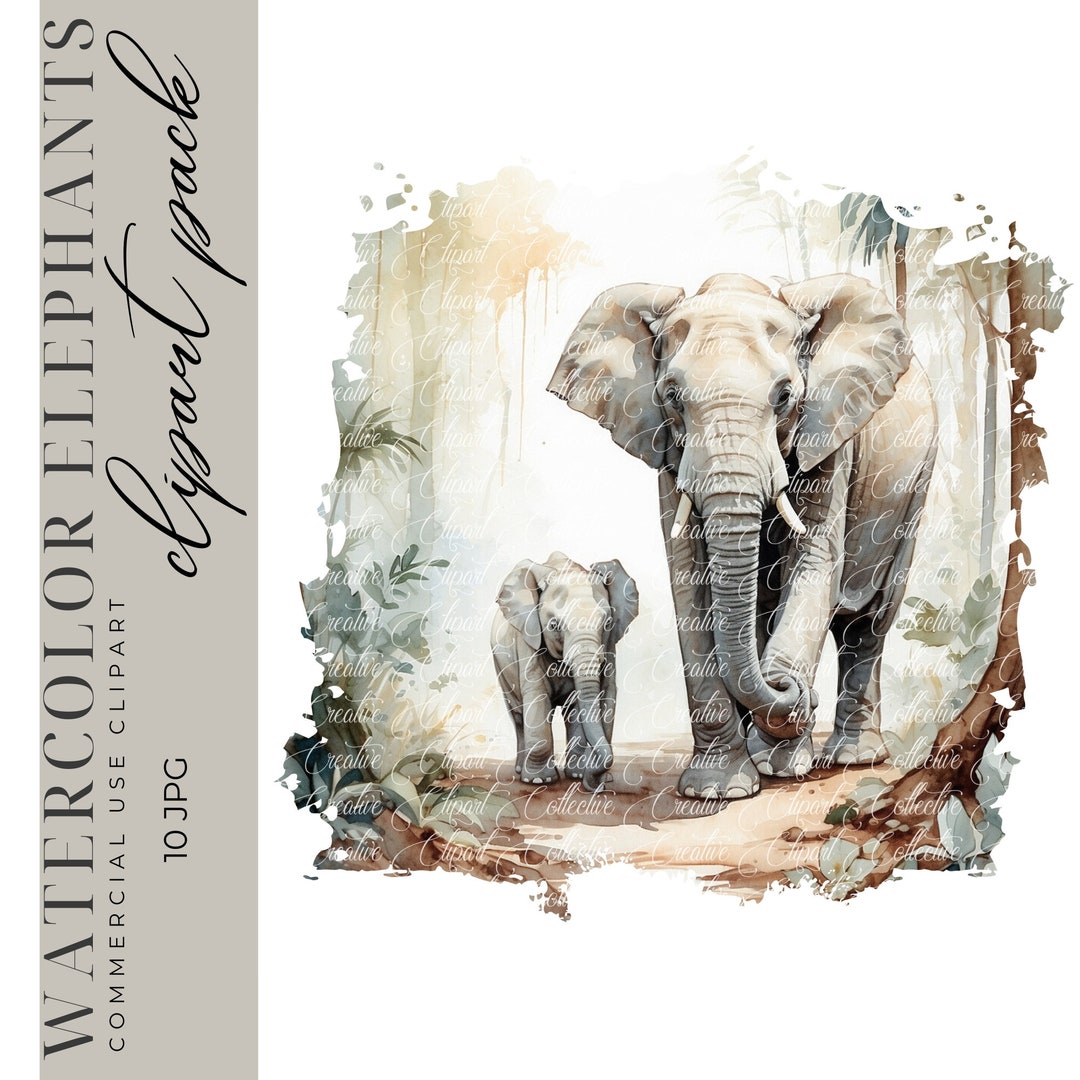 10 Watercolor Elephant, Elephant Clipart, Zoo Clipart, Jungle Clipart ...