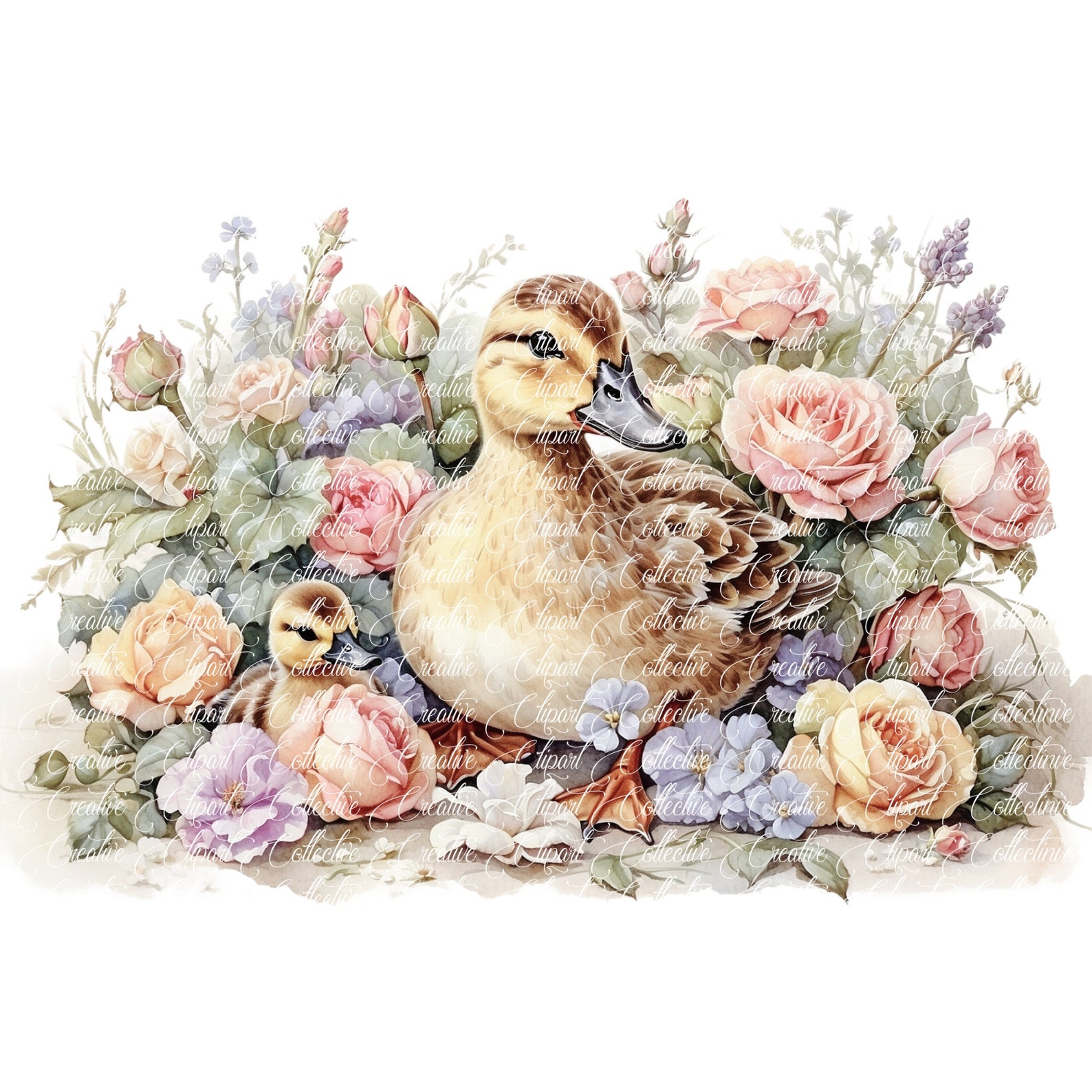 12 Duck Clipart, Watercolor Duck Roses Clipart Bundle, Printable ...