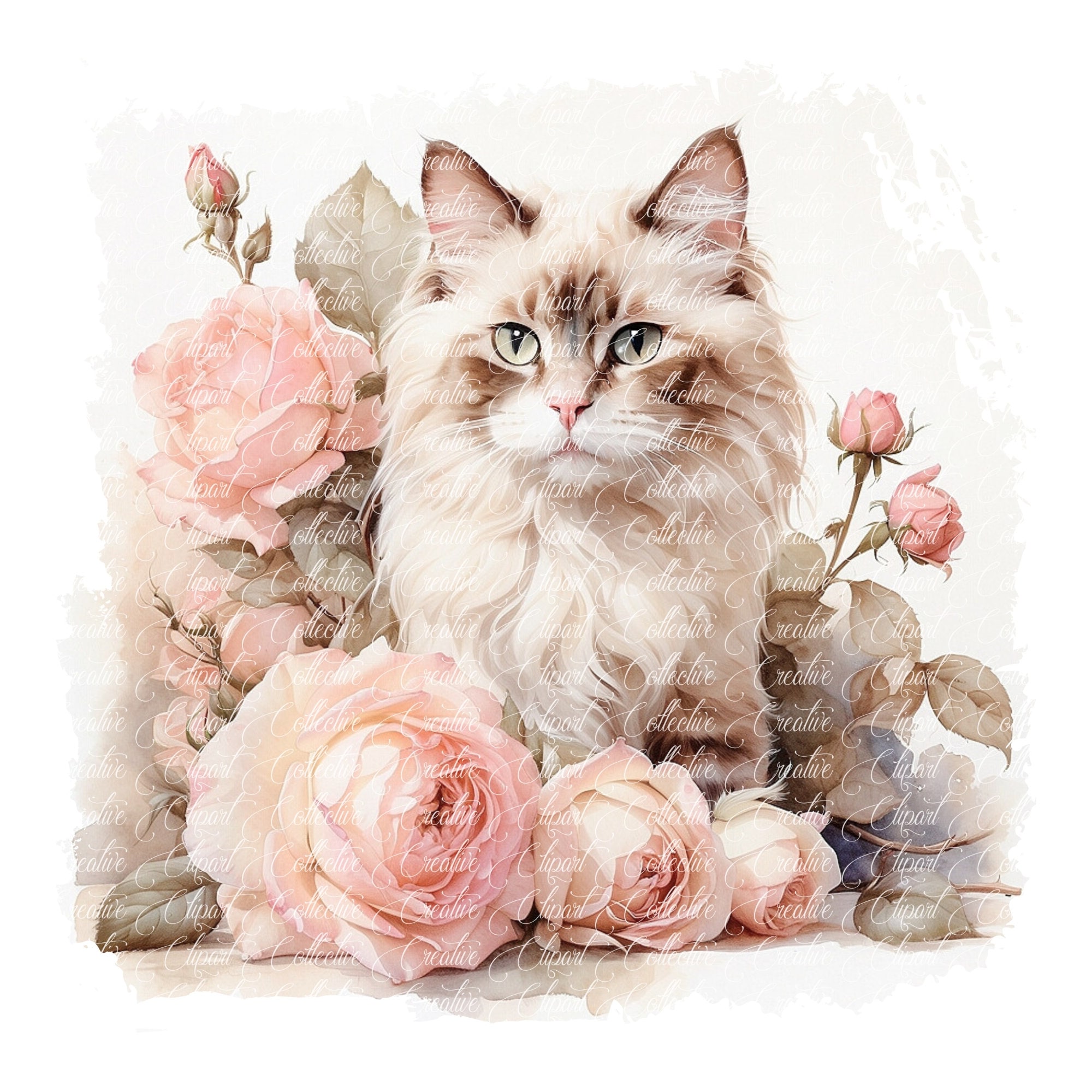 12 Ragdoll Cat Clipart, Shabby Chic Cat Clipart, Watercolor Cat Kitten ...
