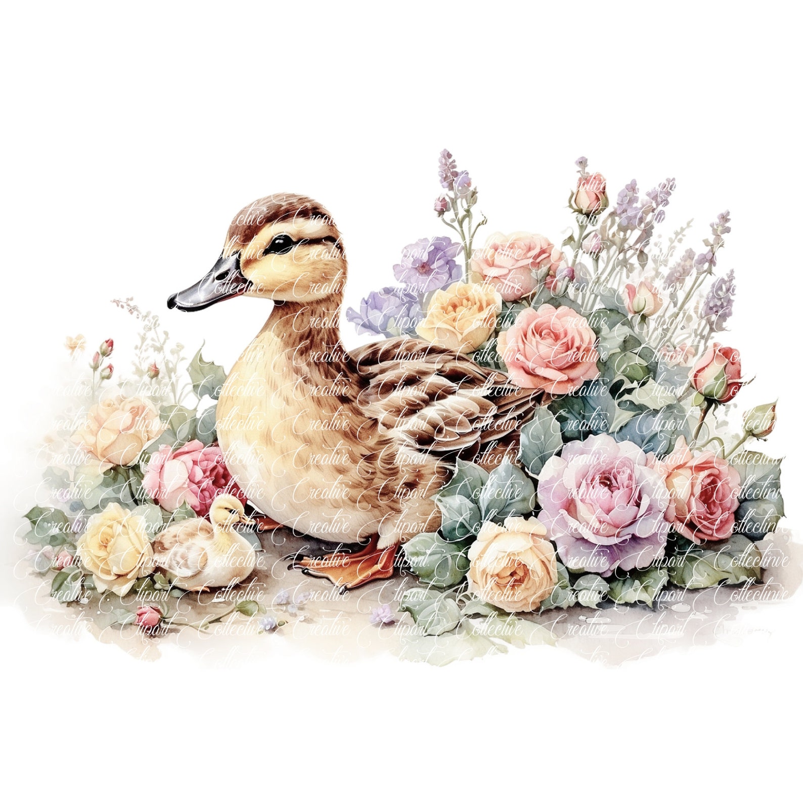 12 Duck Clipart, Watercolor Duck Roses Clipart Bundle, Printable ...