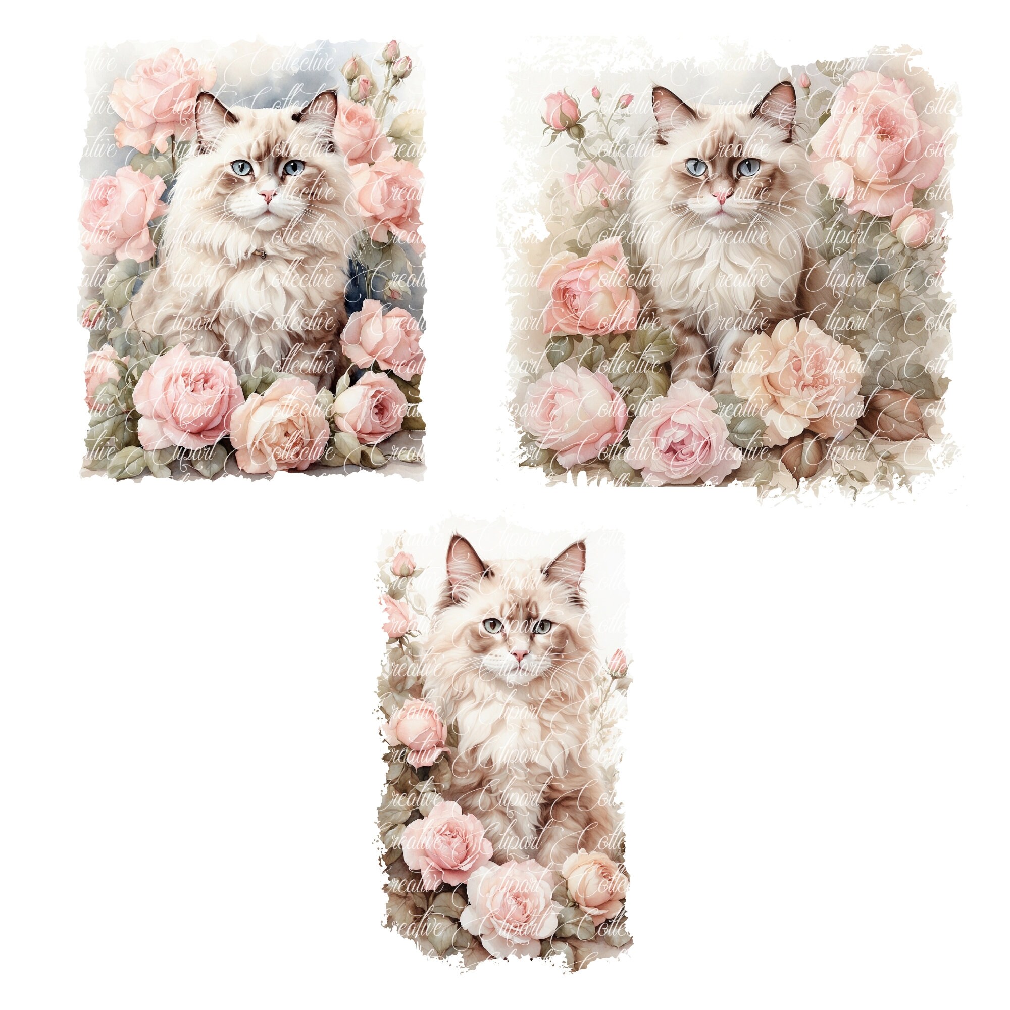 12 Ragdoll Cat Clipart, Shabby Chic Cat Clipart, Watercolor Cat Kitten ...