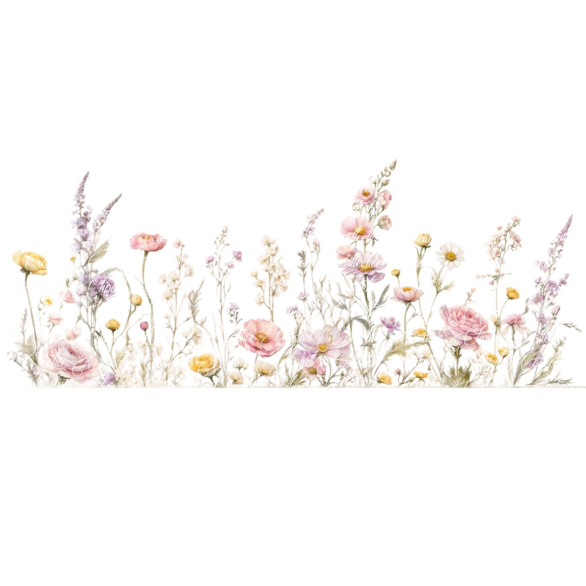 10 Wildflower Clipart, Wild Flower Border, Wild Flower Clipart, Poppies ...