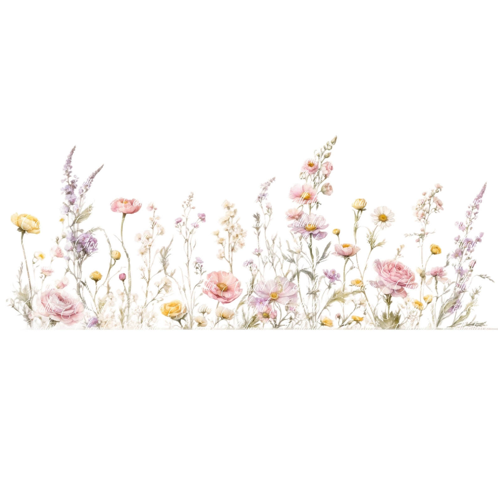 10 Wildflower Clipart, Wild Flower Border, Wild Flower Clipart, Poppies ...