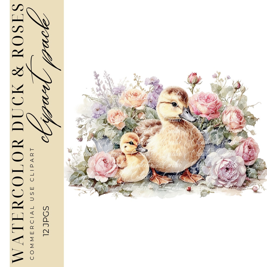 12 Duck Clipart, Watercolor Duck Roses Clipart Bundle, Printable ...
