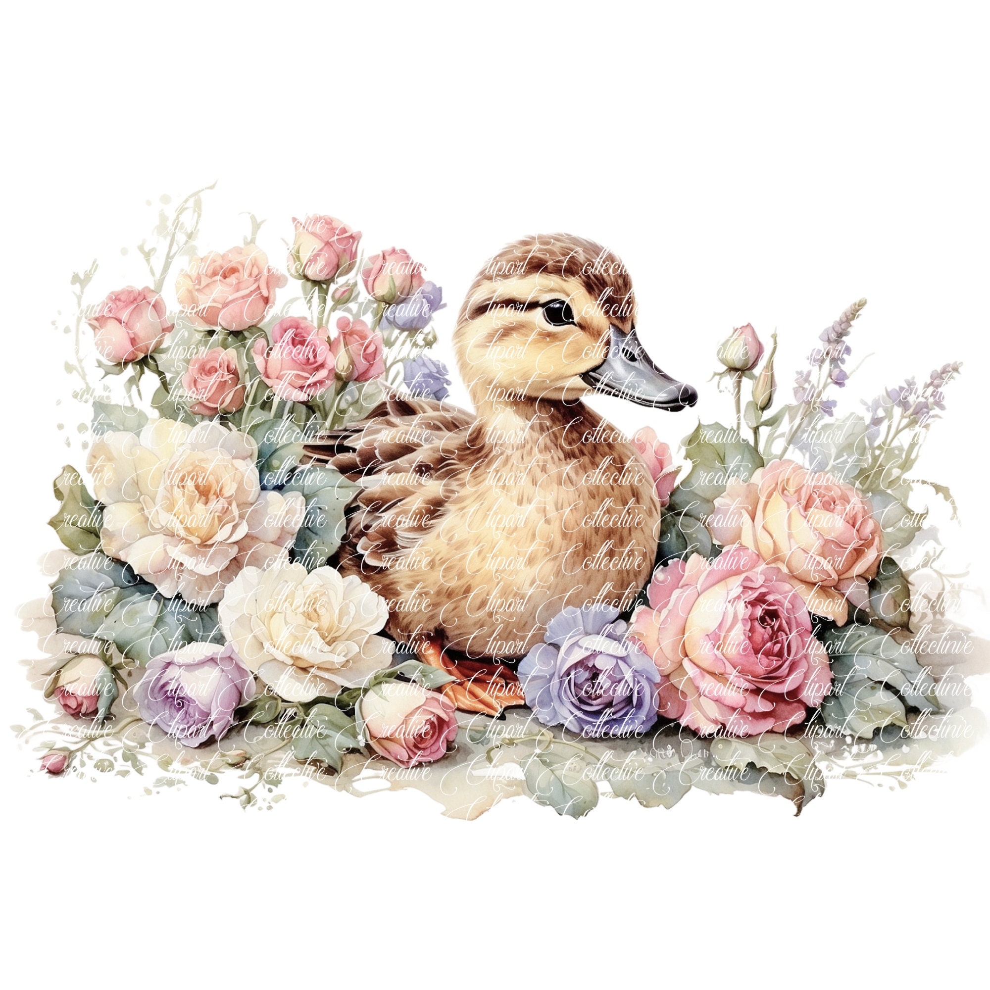 12 Duck Clipart, Watercolor Duck Roses Clipart Bundle, Printable ...