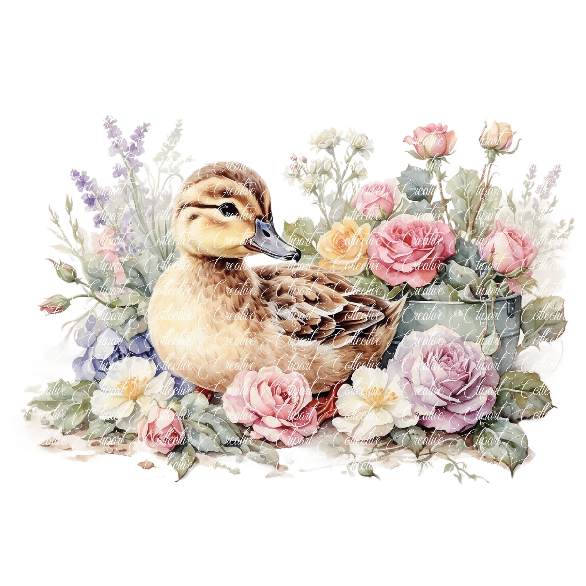 12 Duck Clipart, Watercolor Duck Roses Clipart Bundle, Printable ...