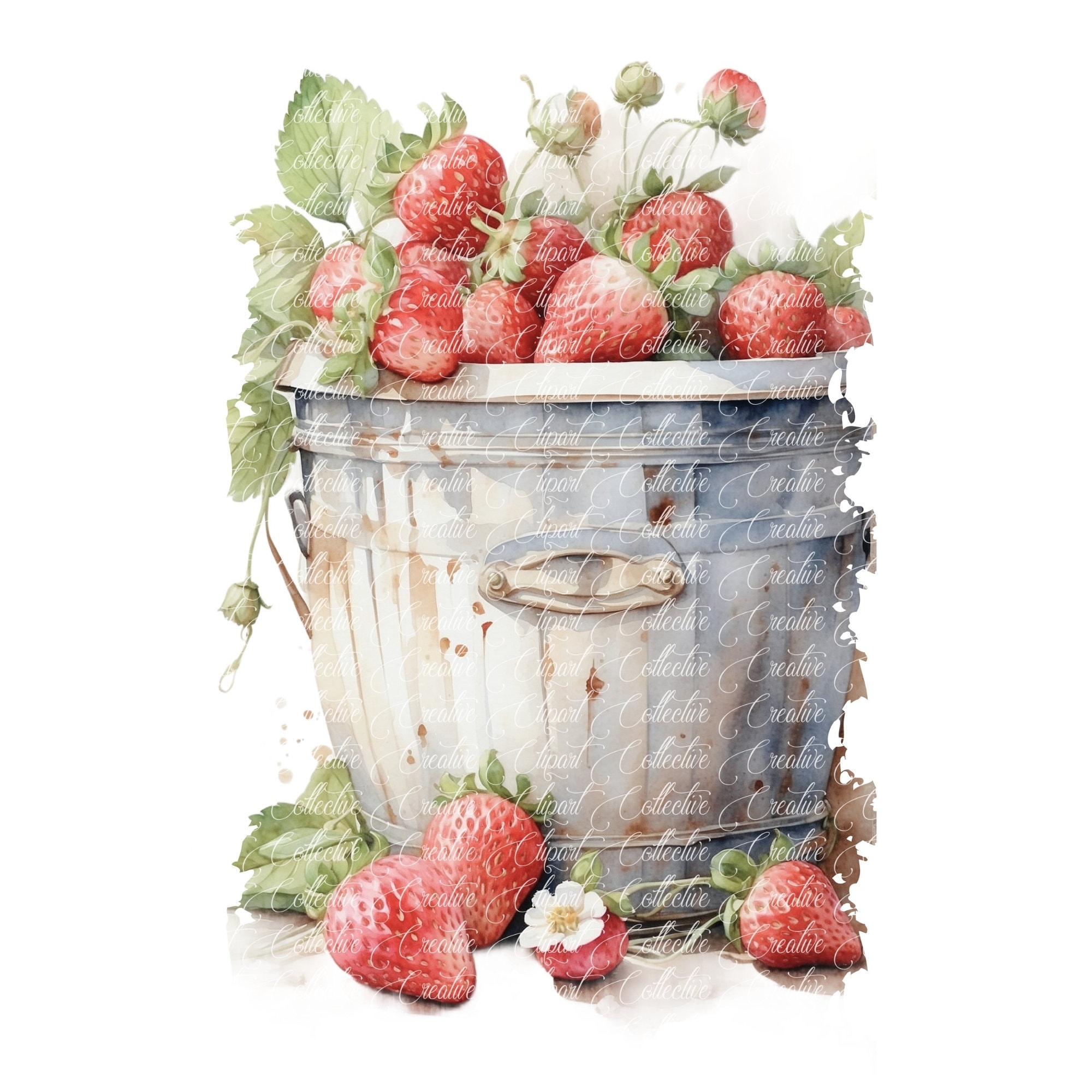 12 Watercolor Strawberry Clipart, Strawberries Art, Fruit Basket ...