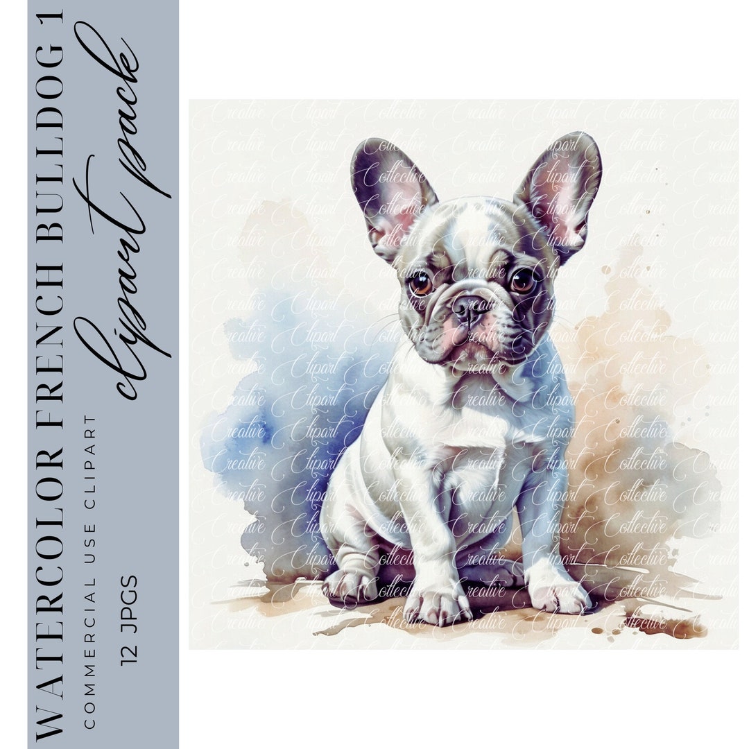 12 French Bulldog Clipart, Watercolor Dog Clipart, Clipart Bundle ...