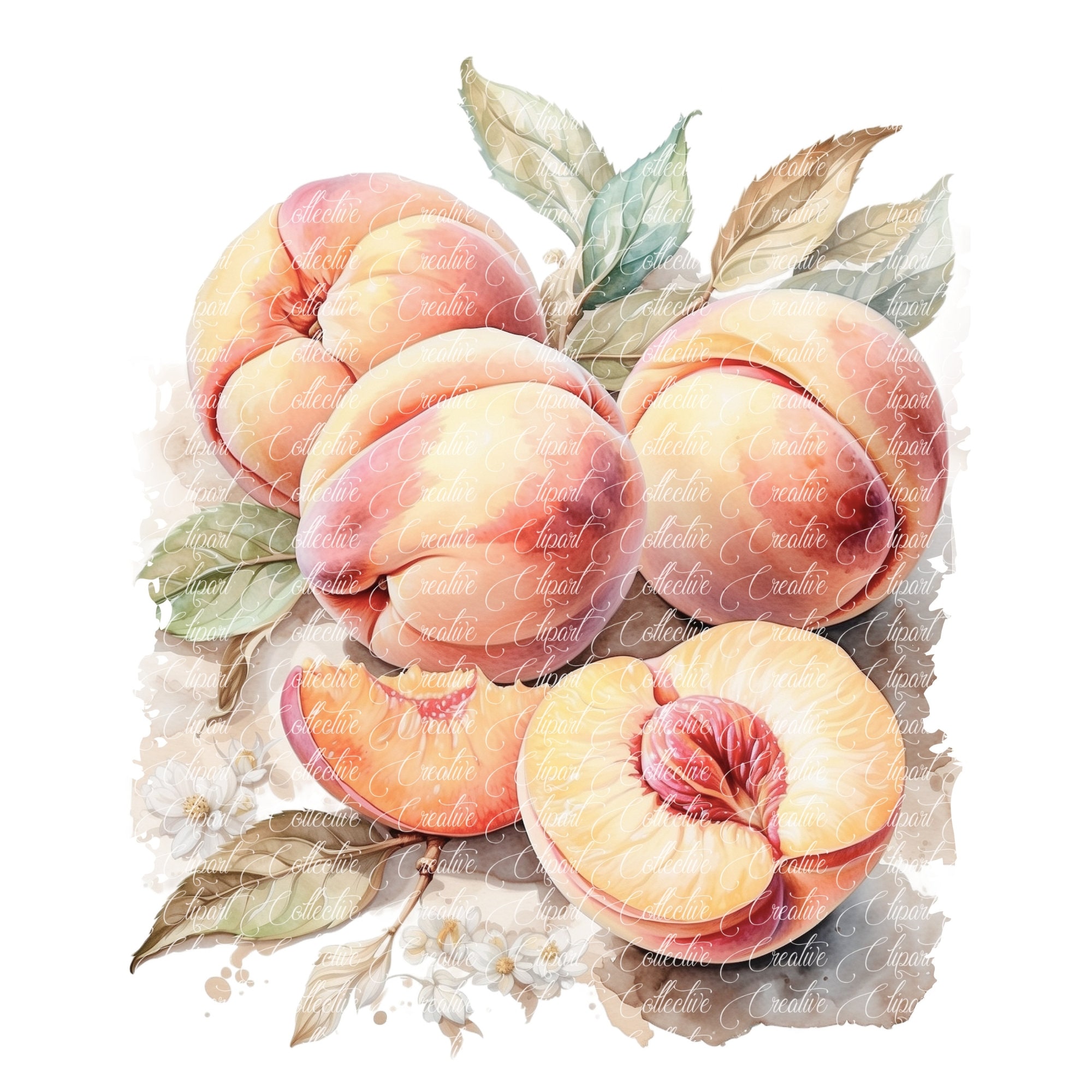 14 Peach Clipart, Watercolor Peach Clipart, Peaches Clip Art ...