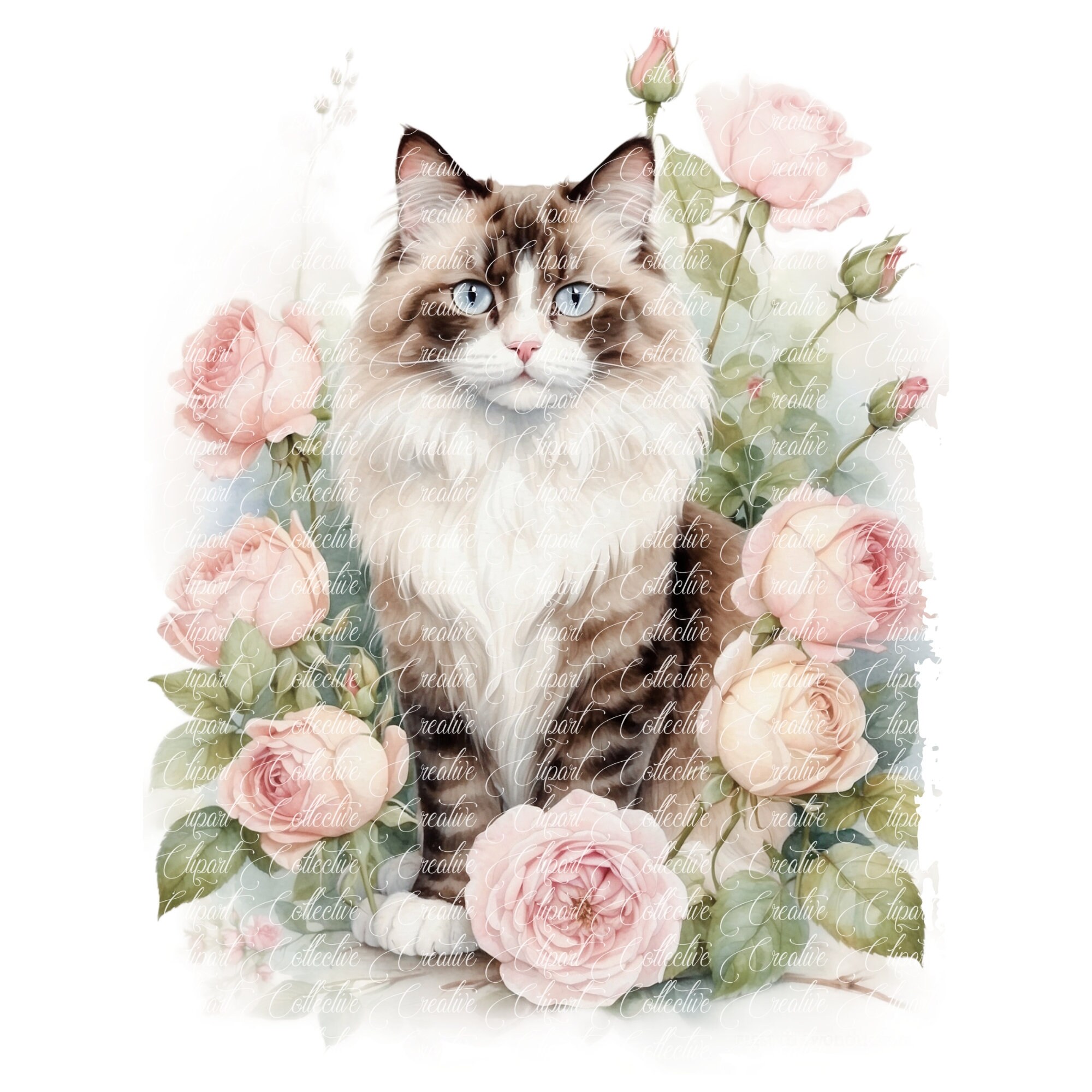 12 Ragdoll Cat Clipart, Romantic Cottage Cat Clipart, Watercolor Cat ...