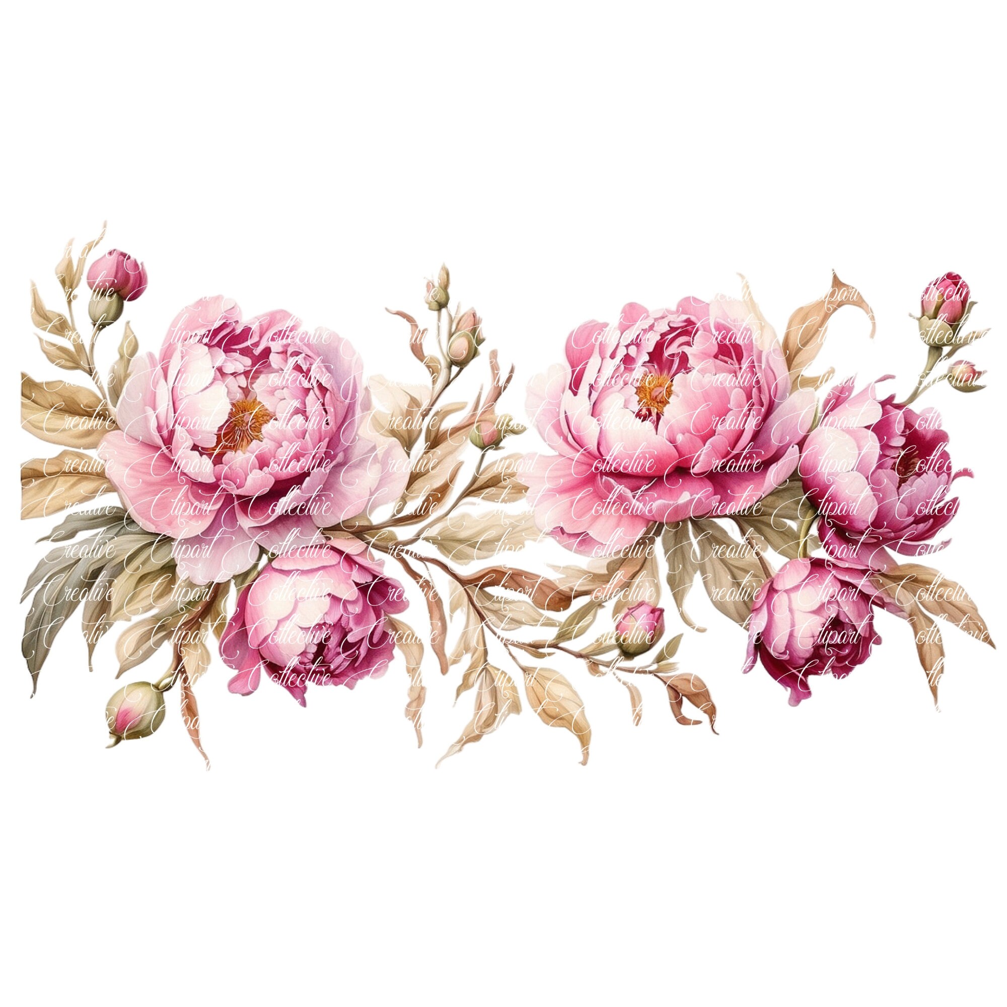 12 Peony Border Clipart, Watercolor Peony Clipart, Wedding Clipart ...