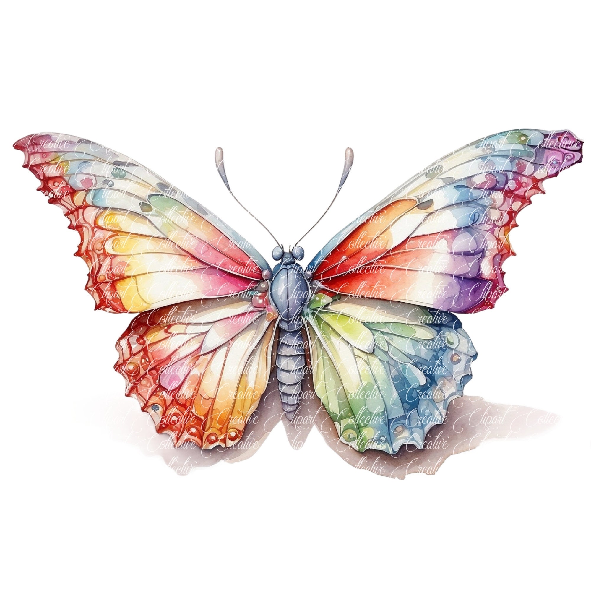 12 Butterfly Clipart, Rainbow Clipart, Rainbow Butterfly Clipart, Clip ...