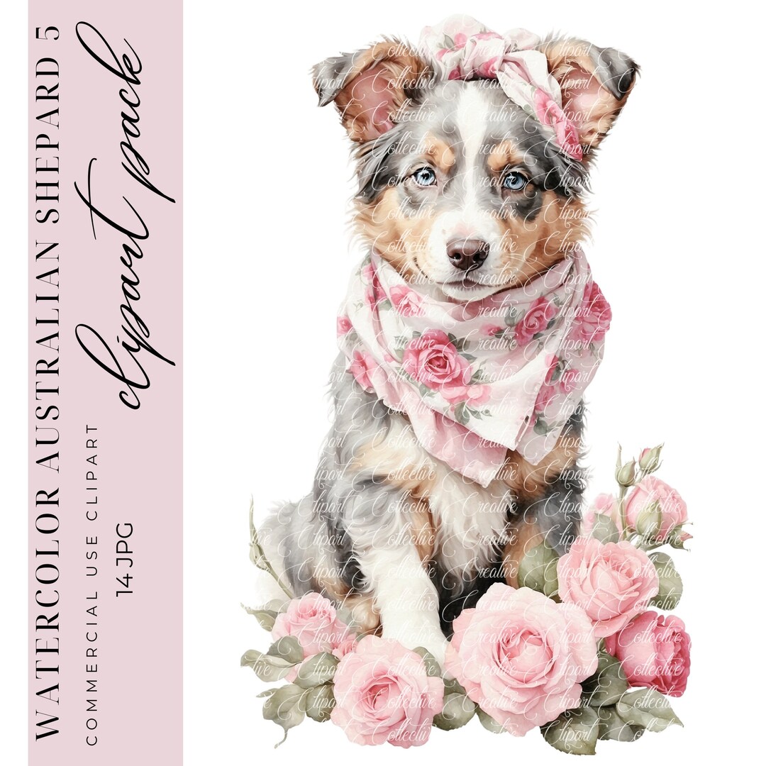14 Dog Clipart, Australian Shepard Clipart, Watercolor Shabby Chic ...