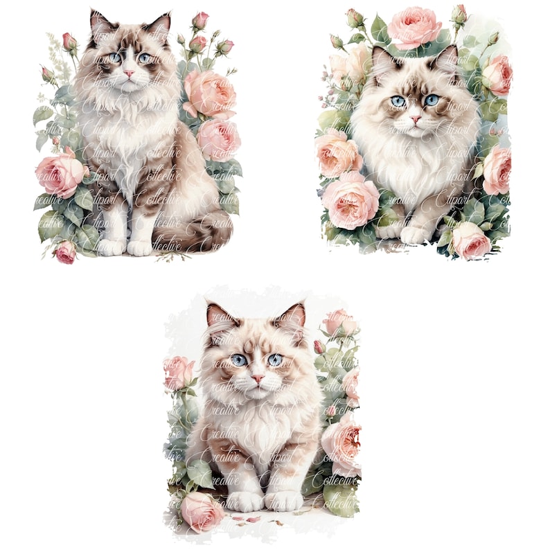 12 Ragdoll Cat Clipart, Romantic Cottage Cat Clipart, Watercolor Cat ...