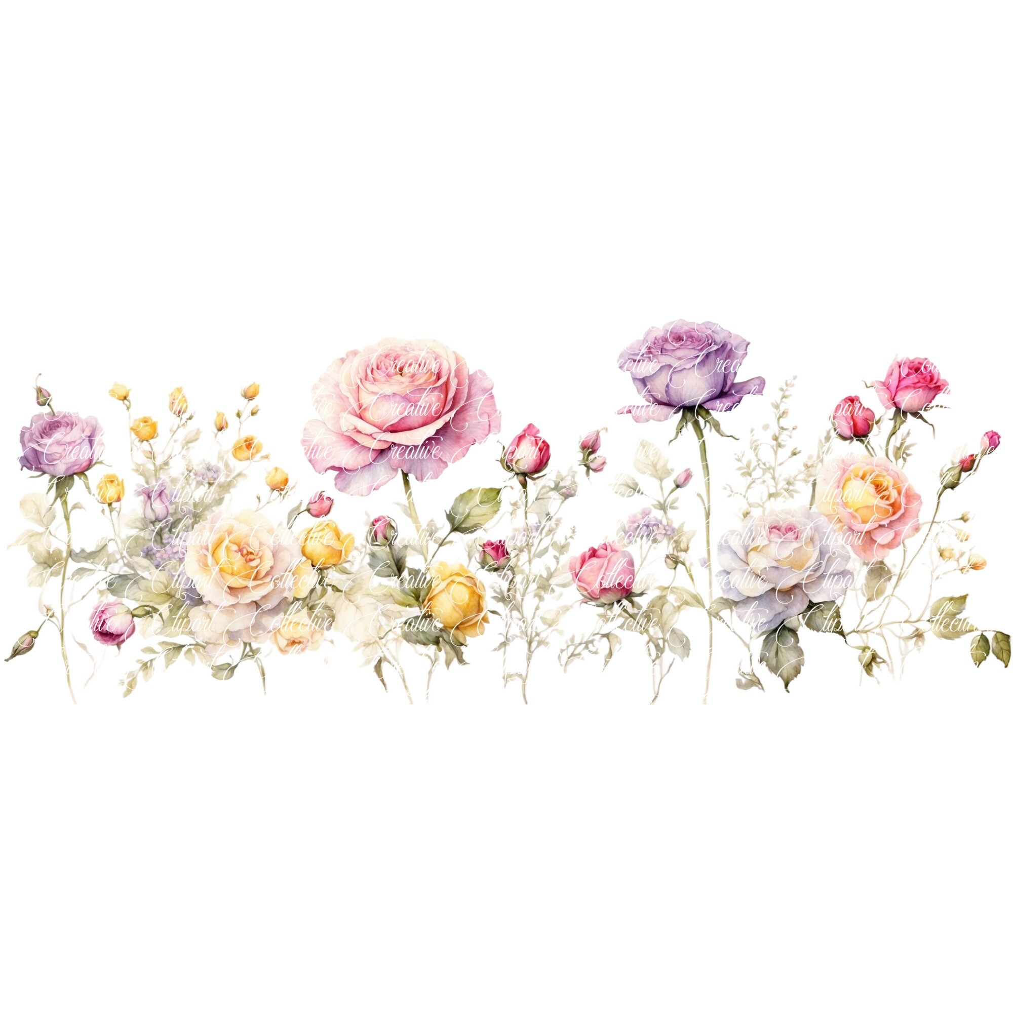 12 Flower Border Clipart, Floral Clipart, Roses Clipart, Floral Rose ...