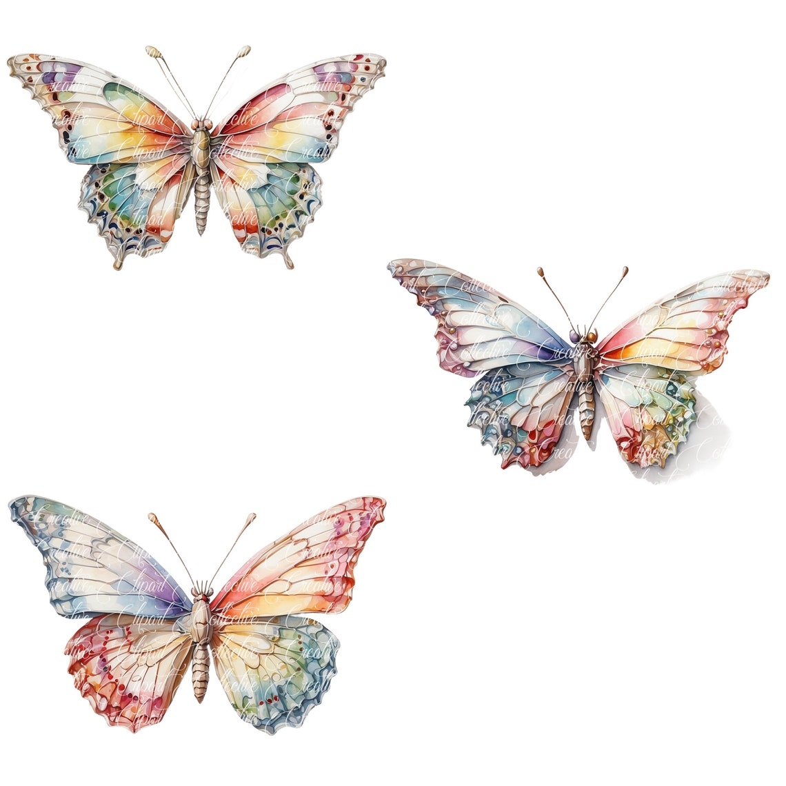 12 Butterfly Clipart, Rainbow Clipart, Rainbow Butterfly Clipart, Clip ...