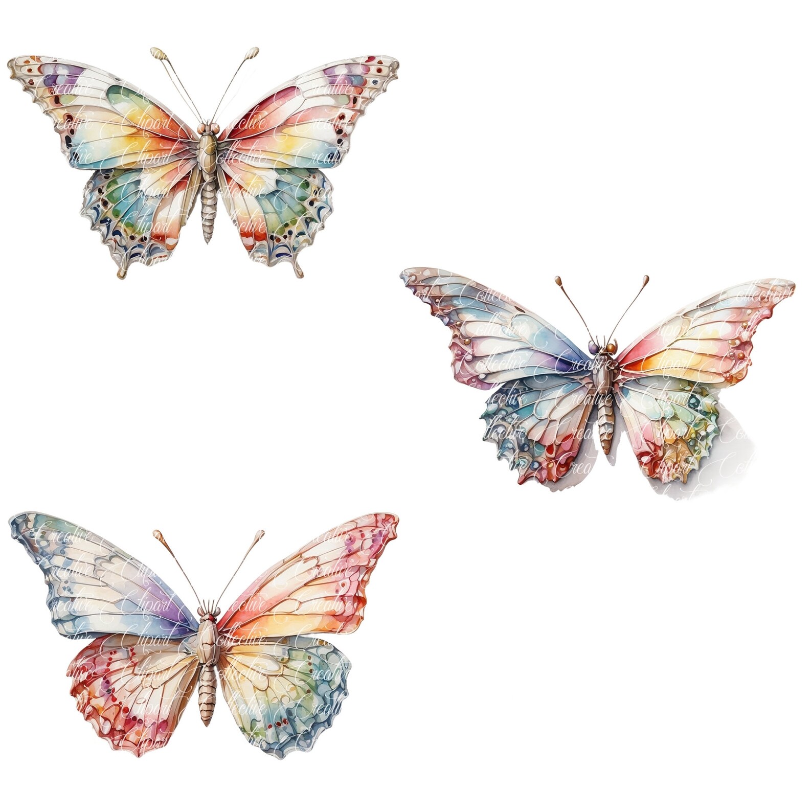 12 Butterfly Clipart, Rainbow Clipart, Rainbow Butterfly Clipart, Clip ...