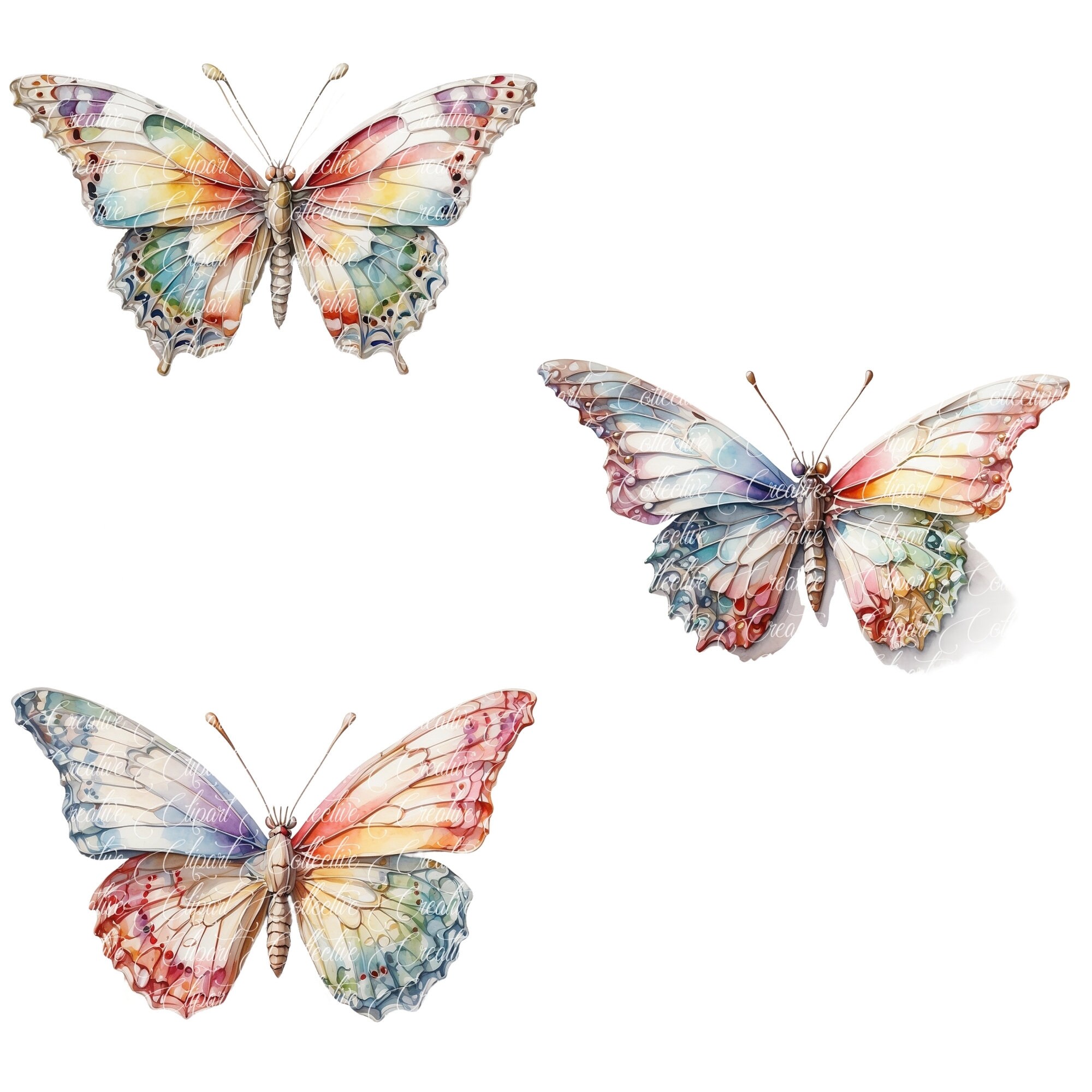 12 Butterfly Clipart, Rainbow Clipart, Rainbow Butterfly Clipart, Clip ...