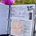 Radiology Tech Study Guide: X-ray Procedures & Positioning Handbook - Etsy