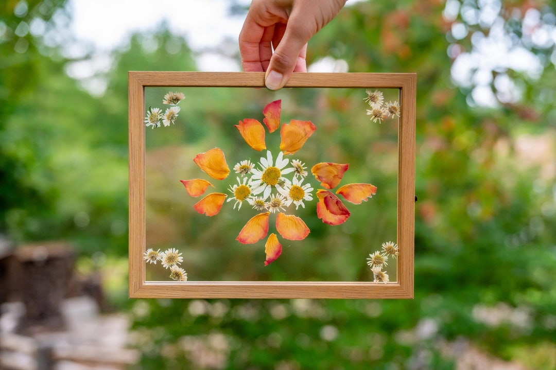 Symmetrical Daisy Pressed Flower Frame Pressed Flower Art Botanical ...