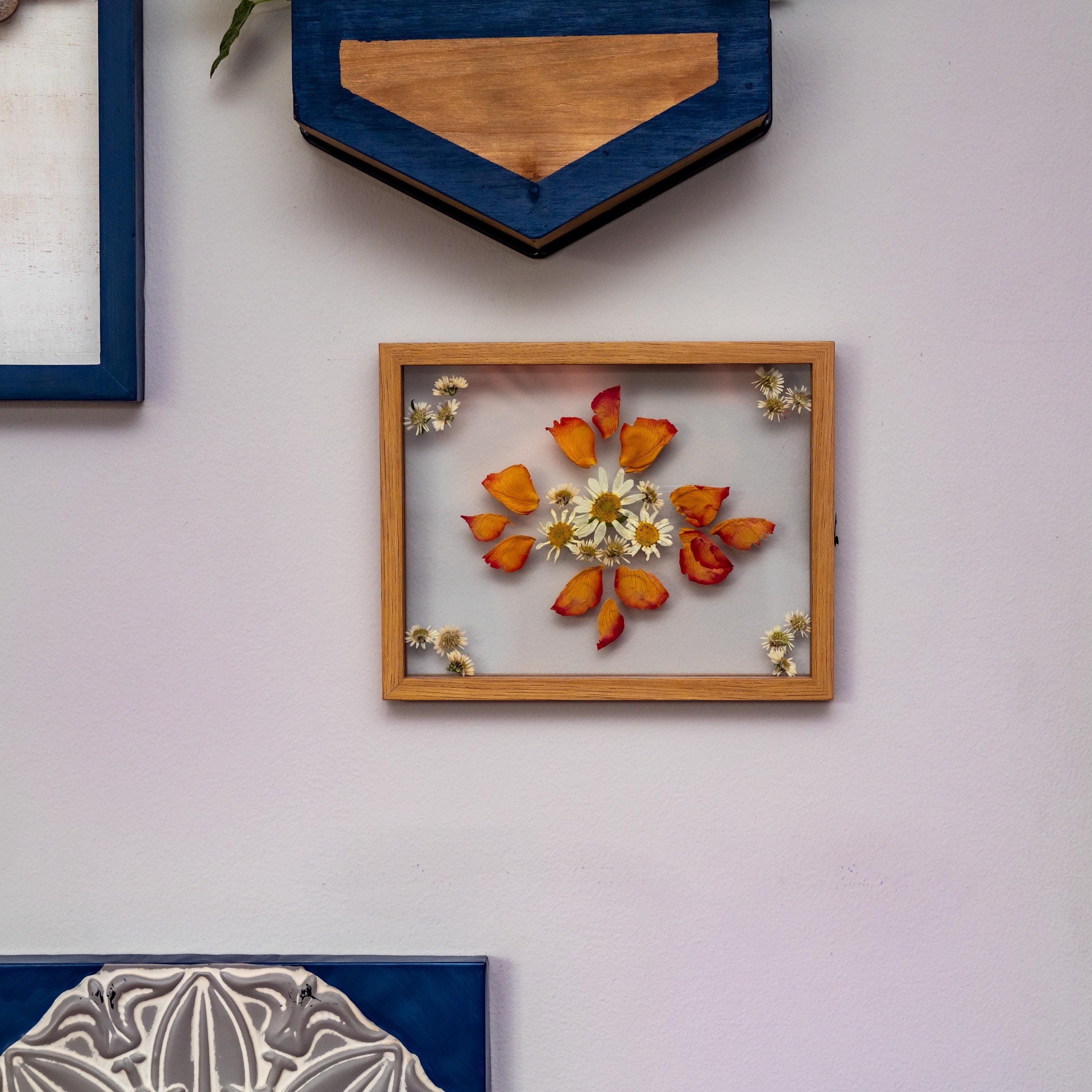 Symmetrical Daisy Pressed Flower Frame Pressed Flower Art Botanical ...