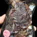 Human Grade Pet Treats - Etsy
