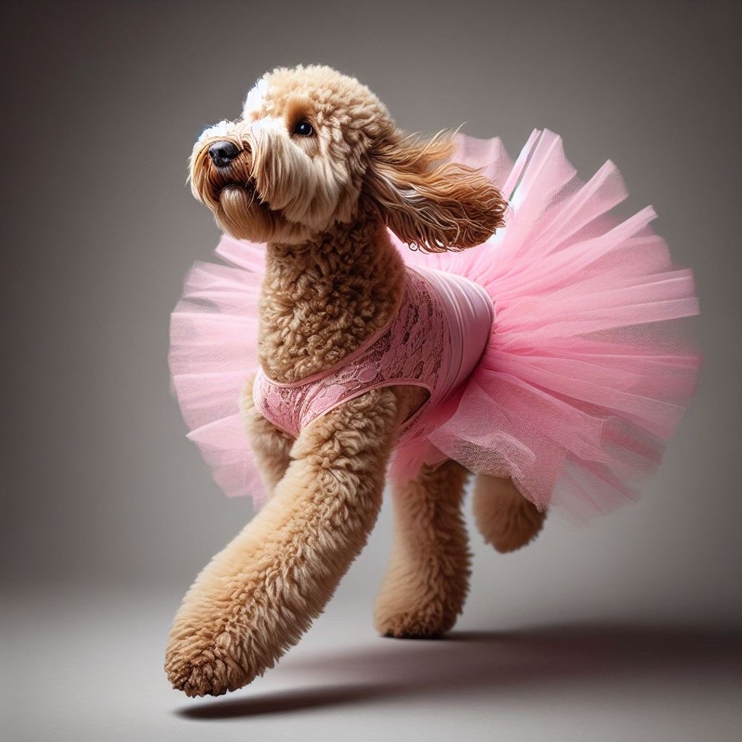 Labradoodle Dancing Ballet - Etsy