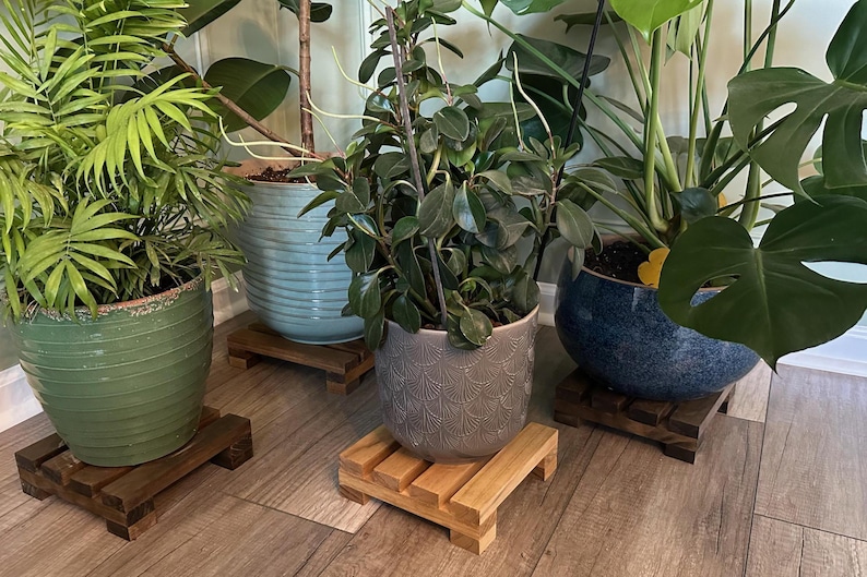 Handmade Wooden Plant Stand: Solid Wood Square Riser - Etsy